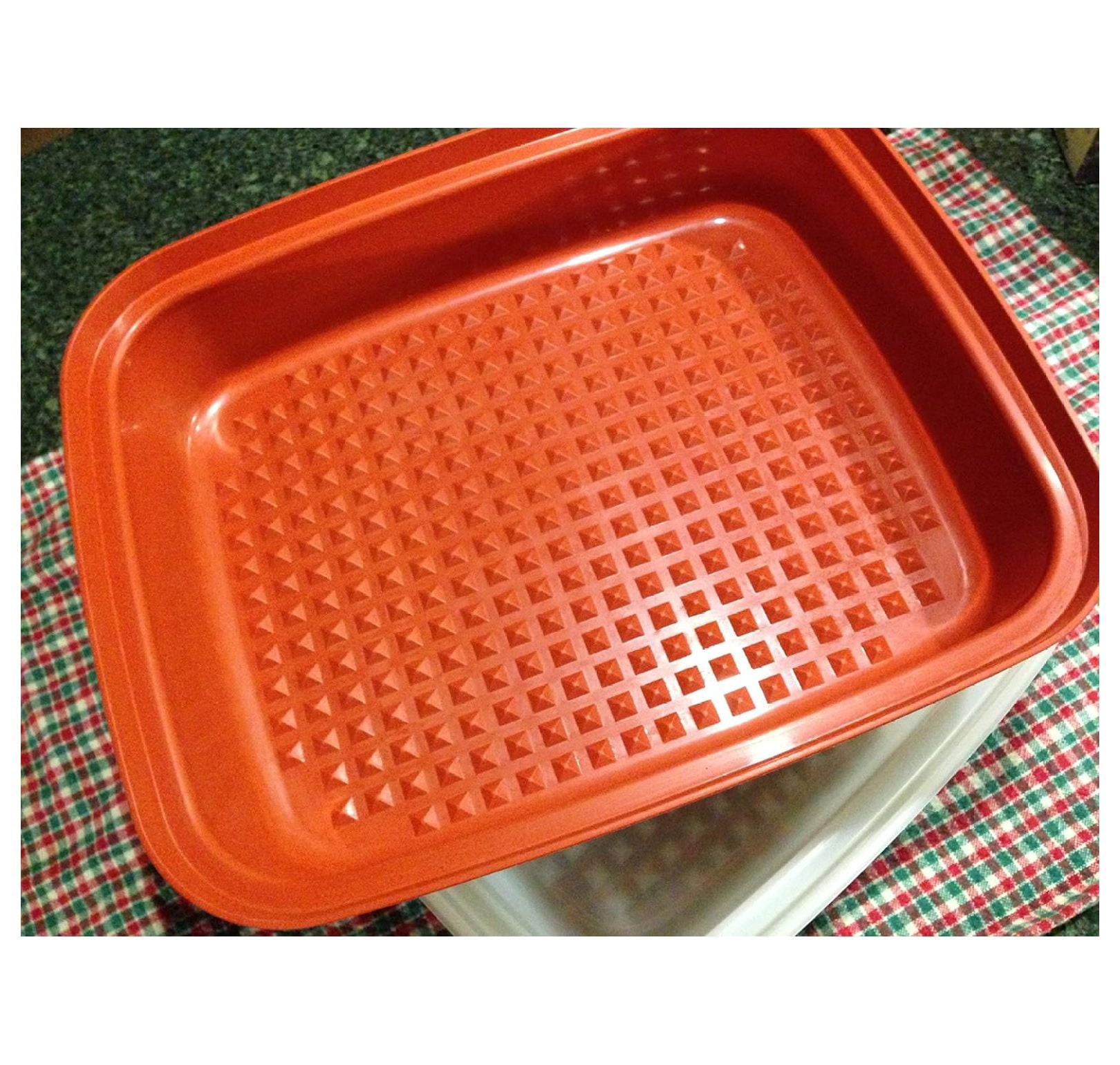 ZRuEzyX Vintage Large Season and Serve Marinating Container, Paprika ...