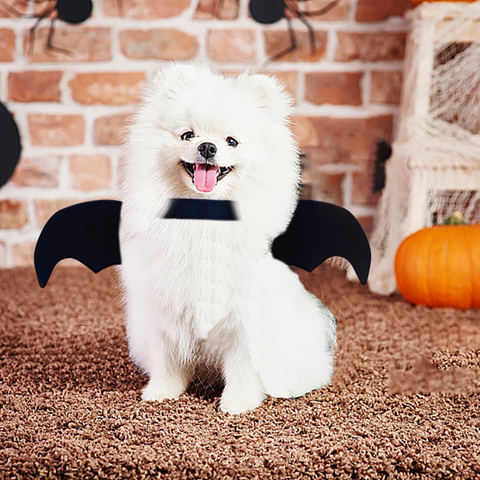 ZSBCMY Halloween Funny Pet Bat Costume for Small Dogs and Cats, Easy to ...