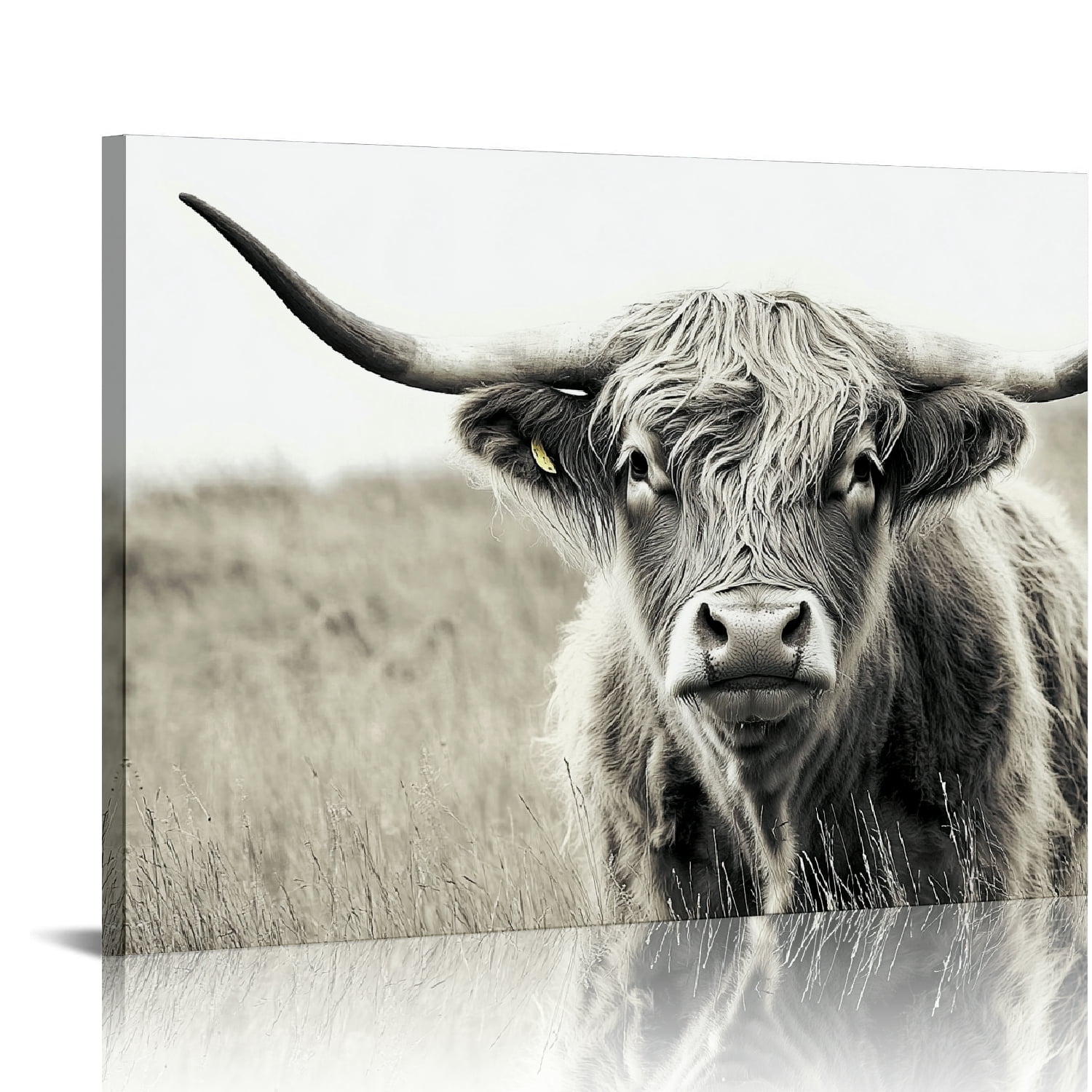 ZSLONG Highland Cow Decor Cute Animal Vintage Picture Modern Canvas ...