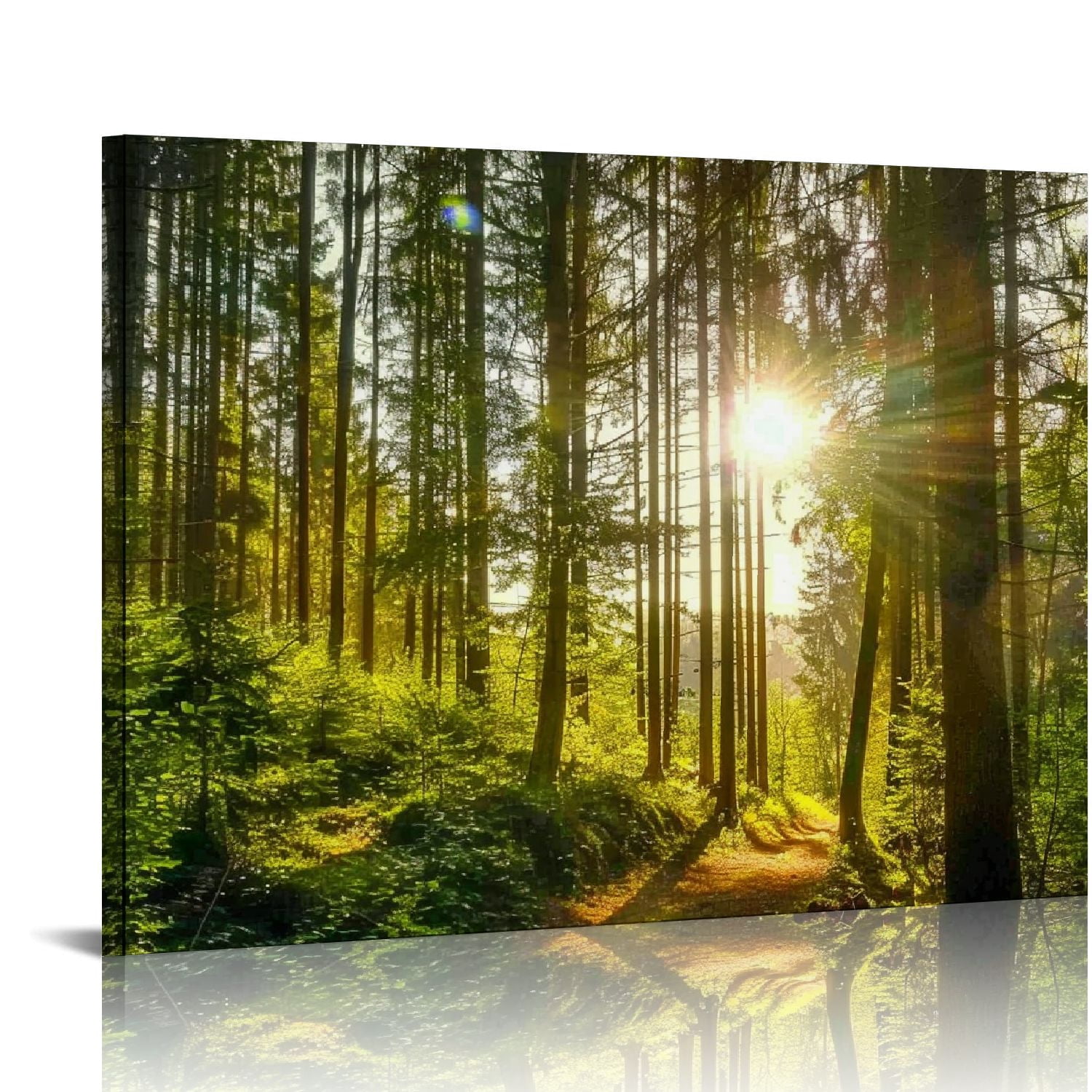 ZSLONG Nature Forest Wall Art Sunset Pictures Wall Decor for Living ...