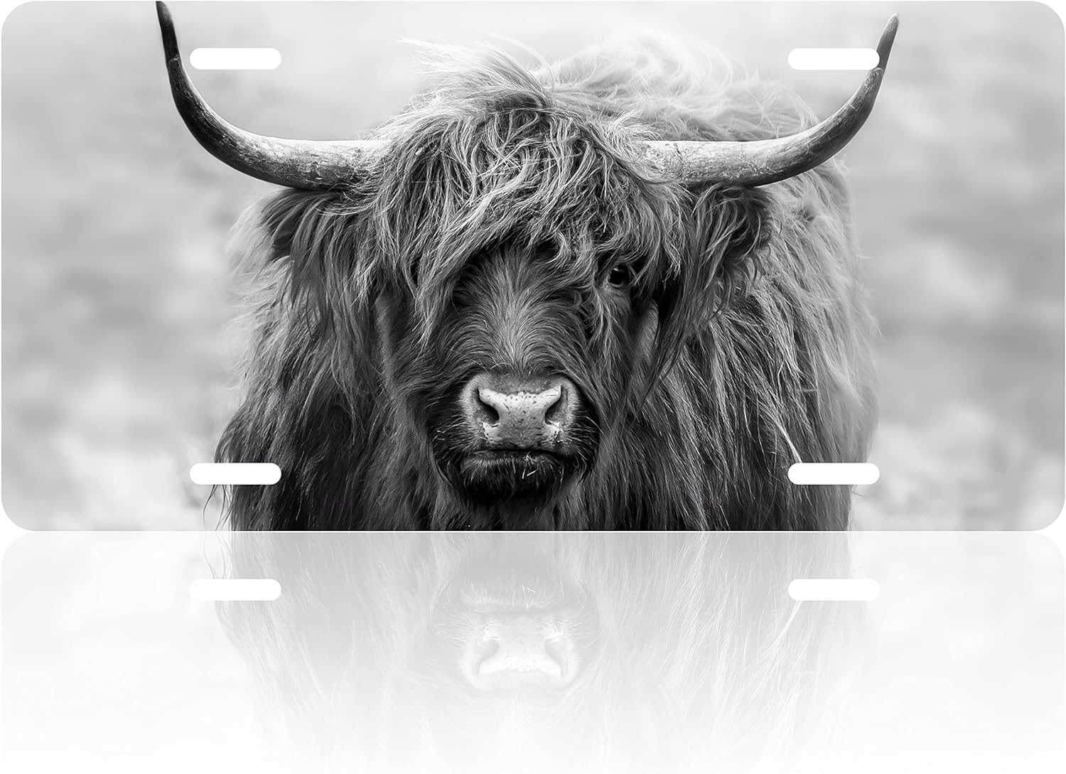 Jesus Freak Distressed Religious Christian License Plate Tag Frame ...