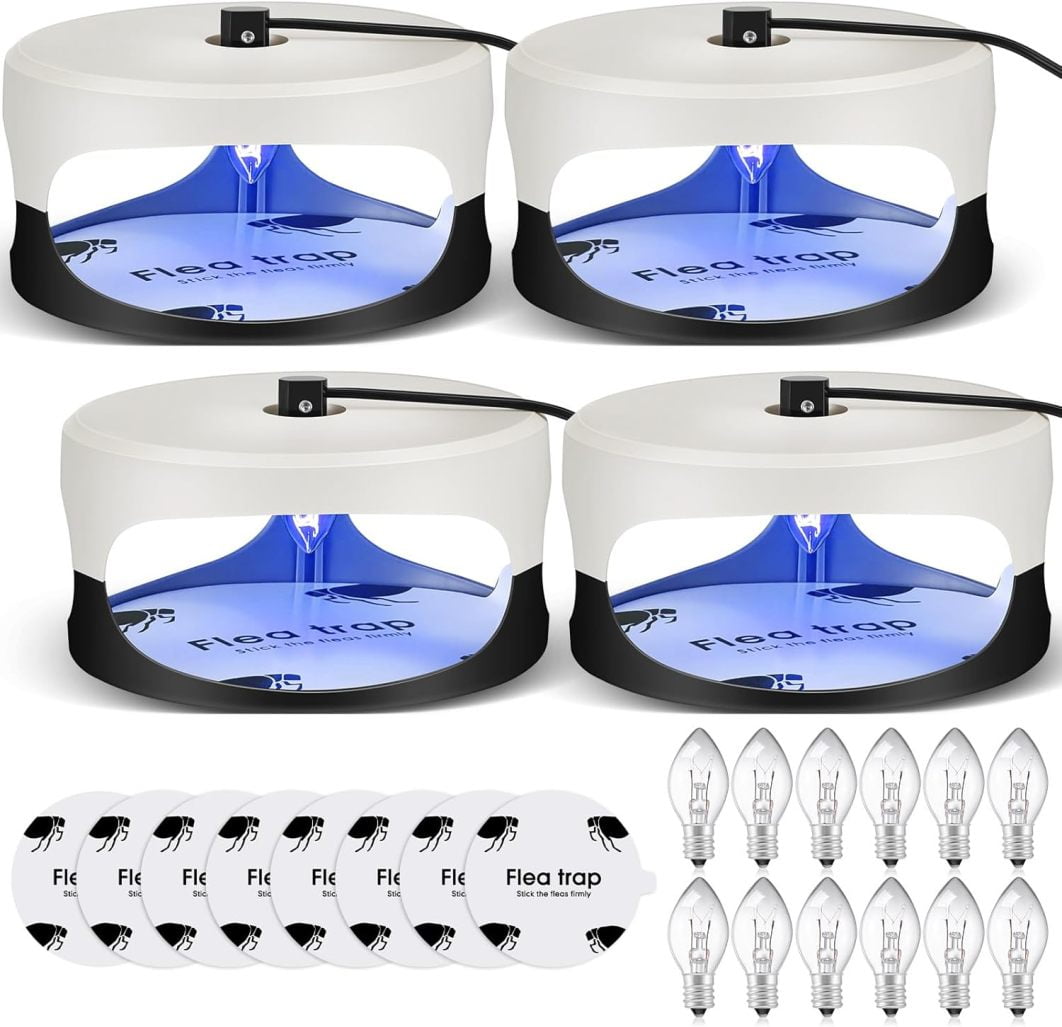 ZSWP 4 Packs Flea Traps for Inside Your Home with 8 Sticky Disc 12 ...