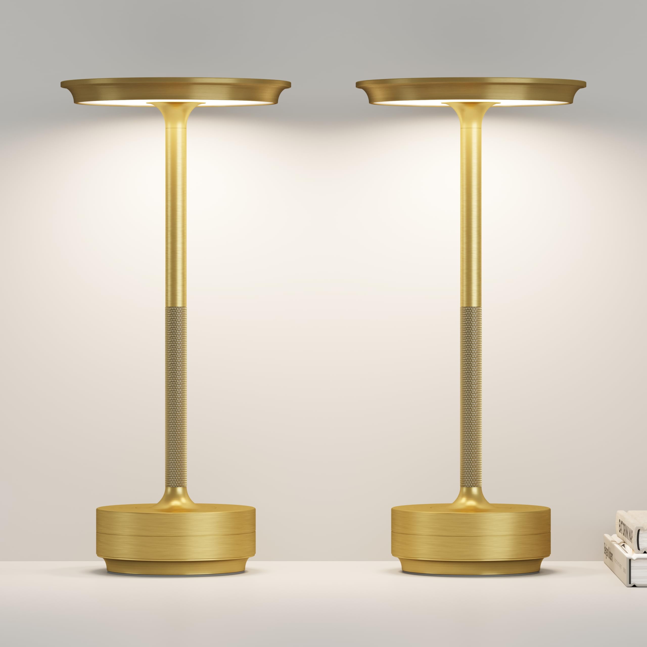 ZTFLOS Cordless Rechargeable Table Lamp,LED Portable Touch 5000mAh ...