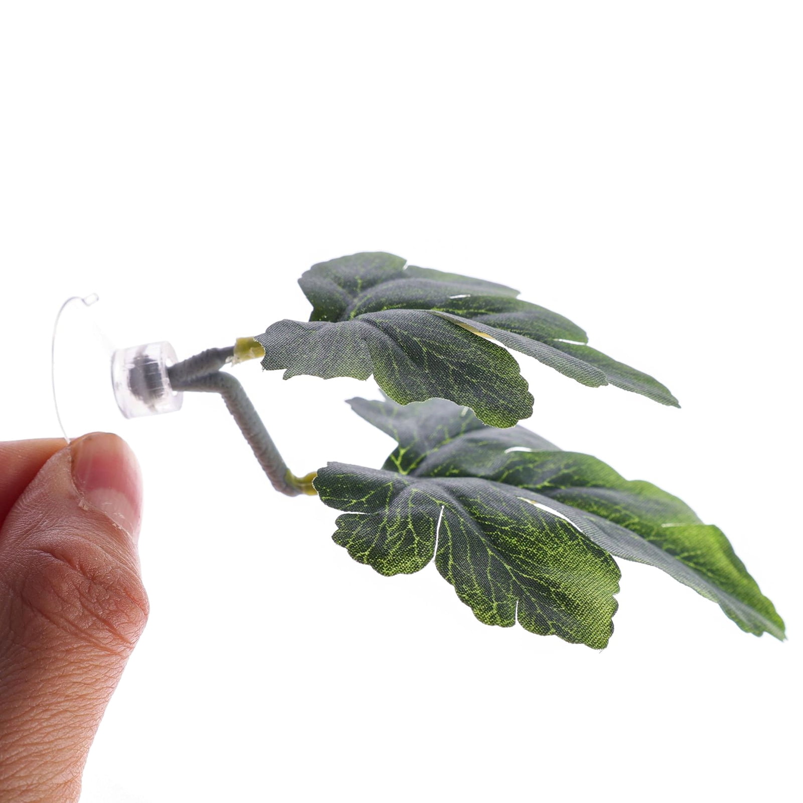 ZTGD Fish Tank Aquatic Plants Fighting Fish Resting Leaf High ...