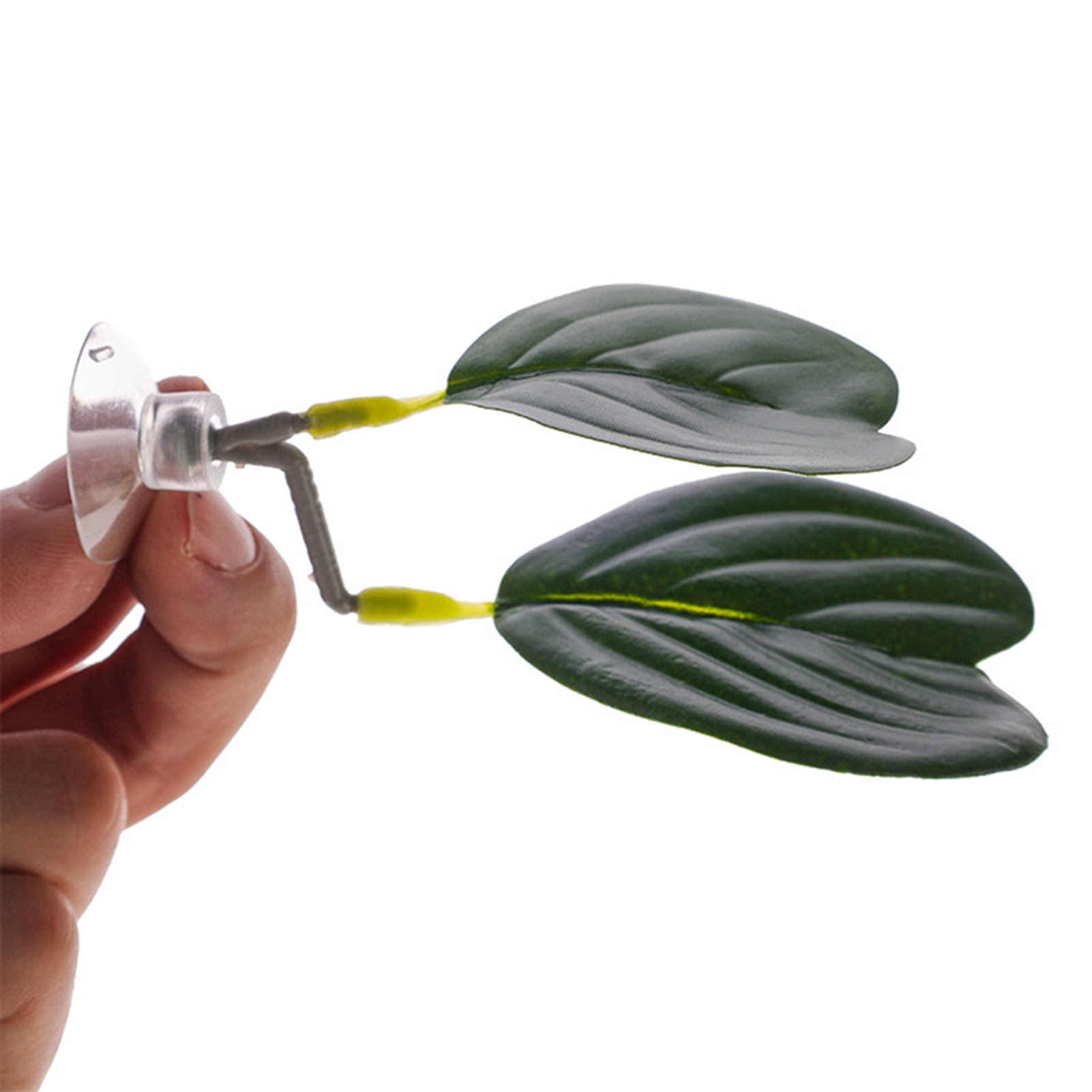 ZTGD Fish Tank Aquatic Plants Fighting Fish Resting Leaf High ...