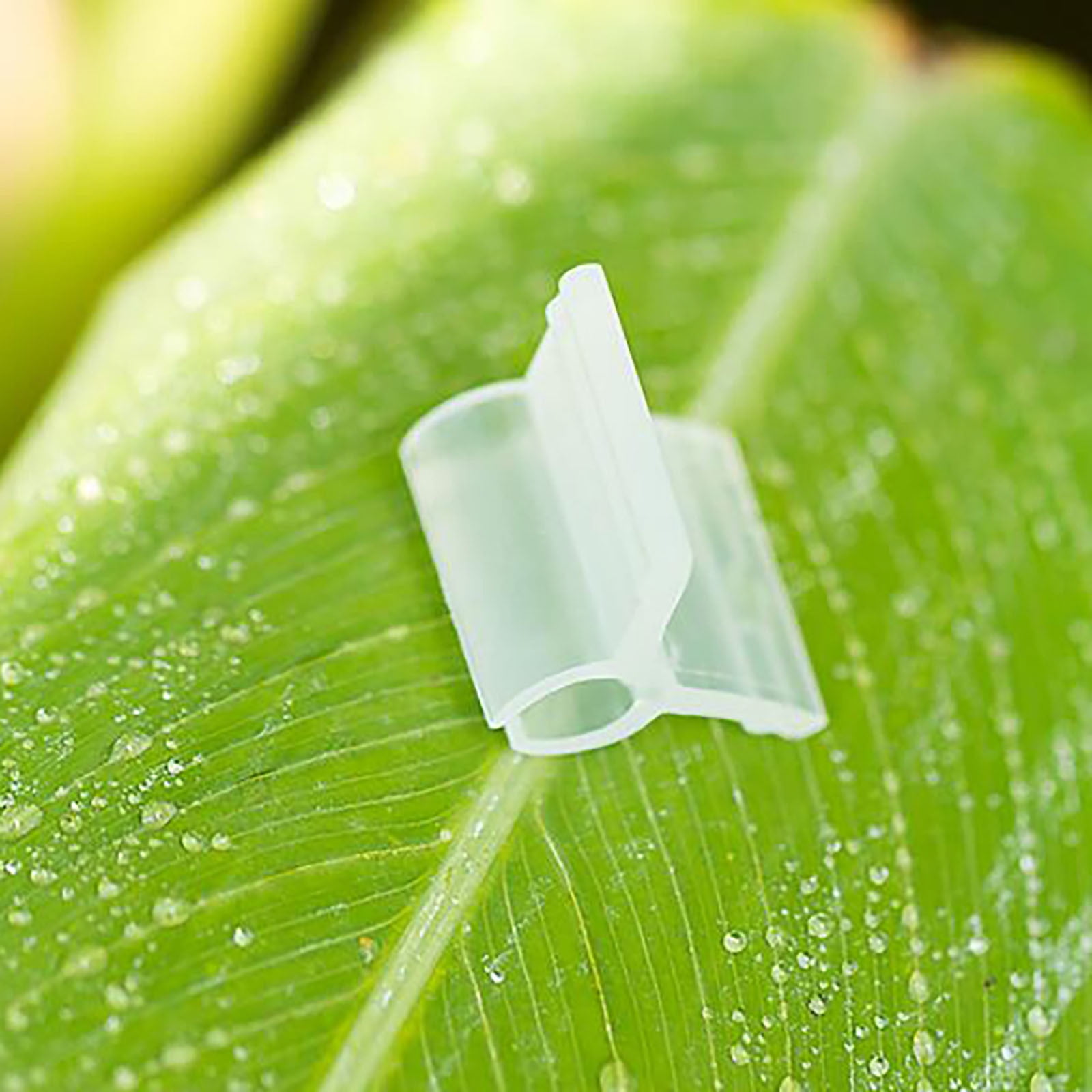 ZToonmas Home DecorGardening Special Grafting Clamps Tomato Grafting ...