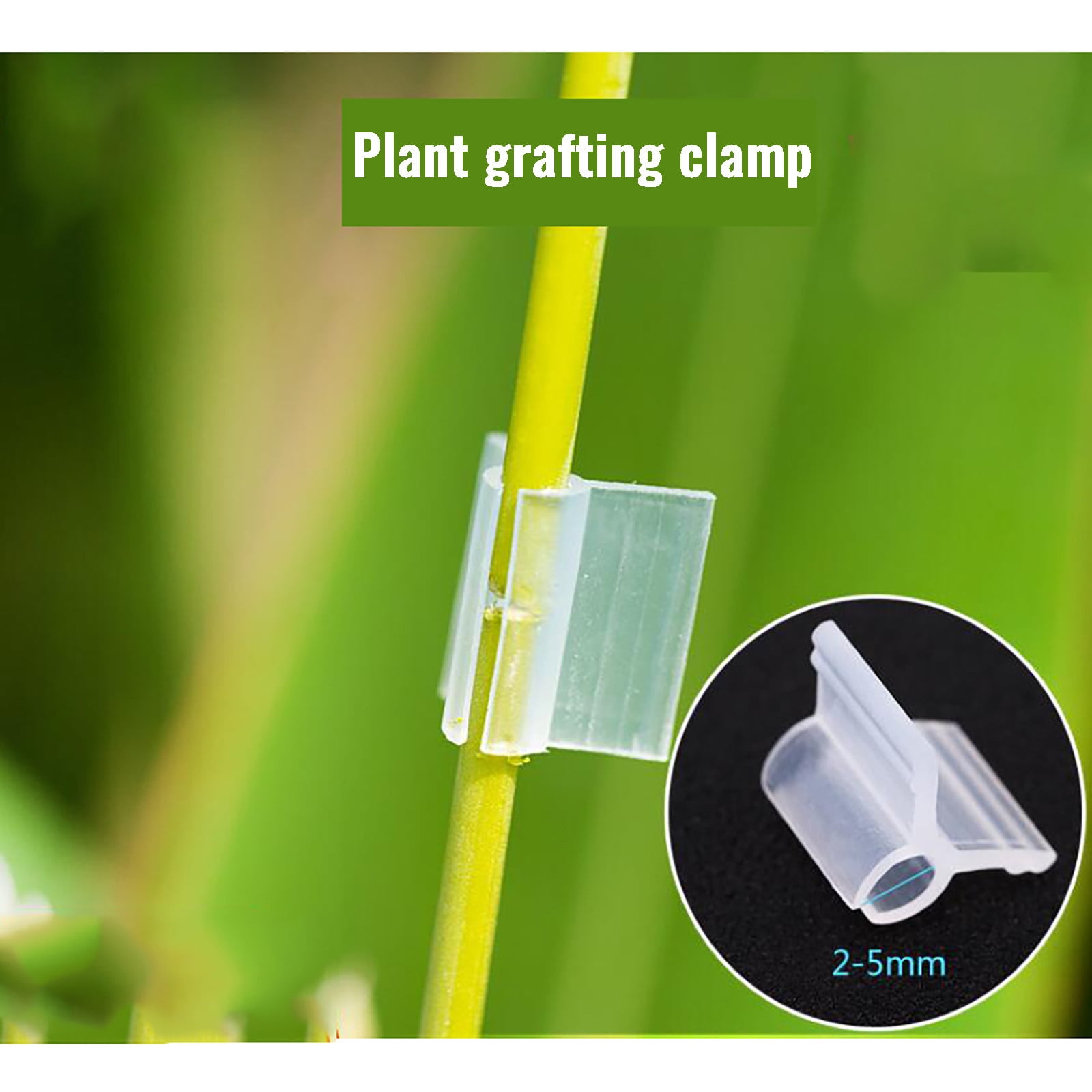 ZToonmas Home DecorGardening Special Grafting Clamps Tomato Grafting ...