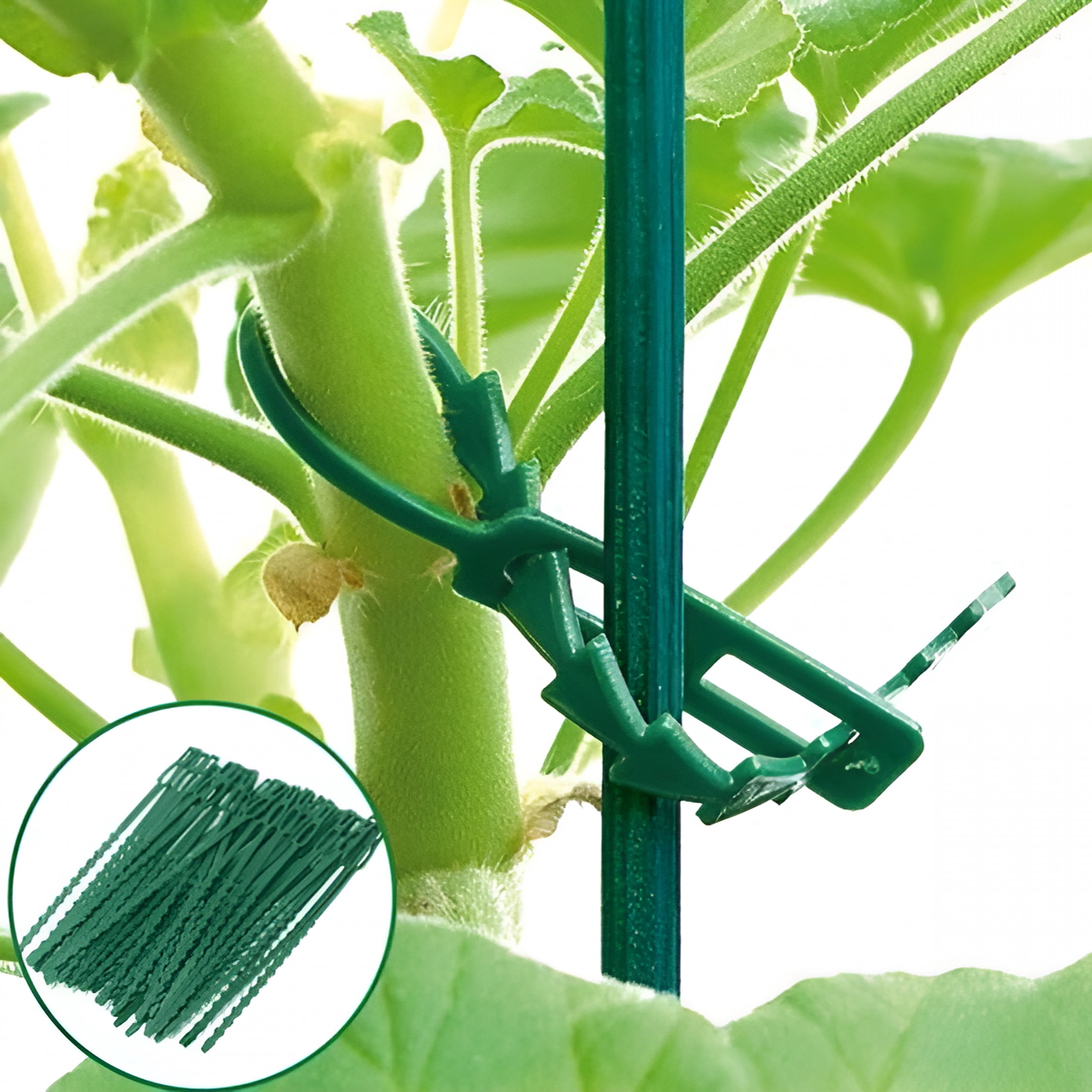 ZULAR 2026 New Garden Stakes 200 Pack,Diy 4Ft 5Ft 6Ft 7Ft 8Ft Tomato ...