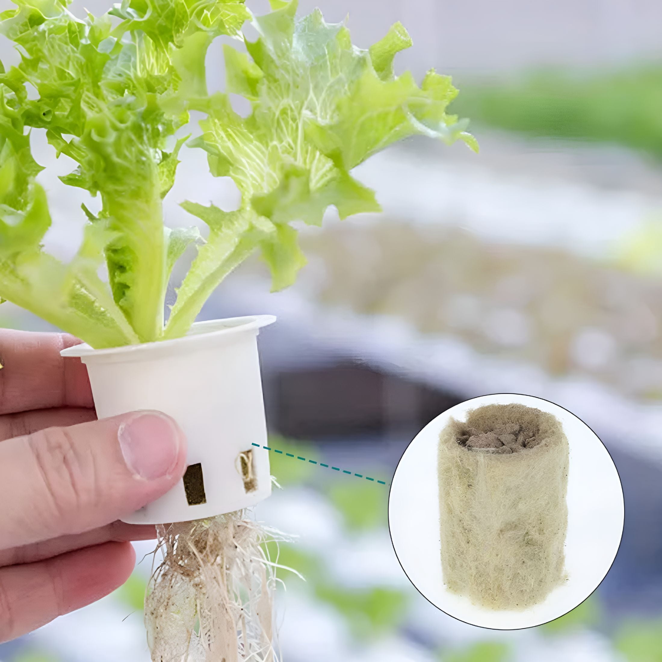 ZULAR 50 Pcs Seed Starter Plugs,Rapid Root Plugs Organic Plant Starters ...
