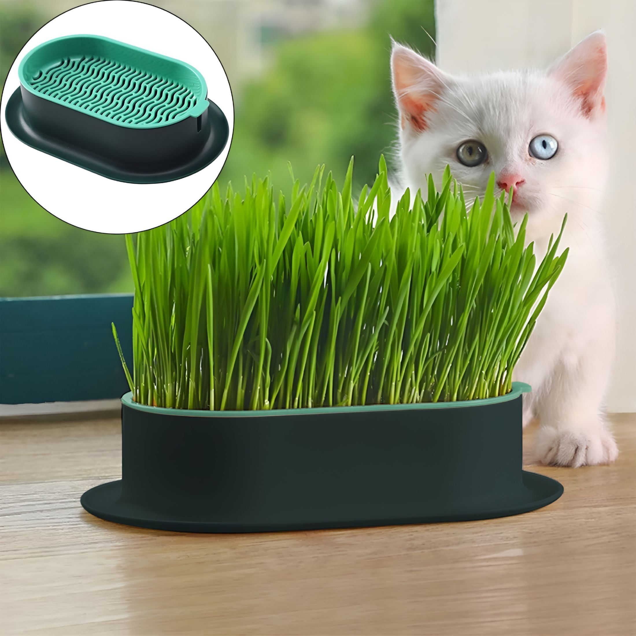 ZULAR 2026 New Cat Grass Planter,Hydroponic Cat Grass Box,Cat Grass Pot ...