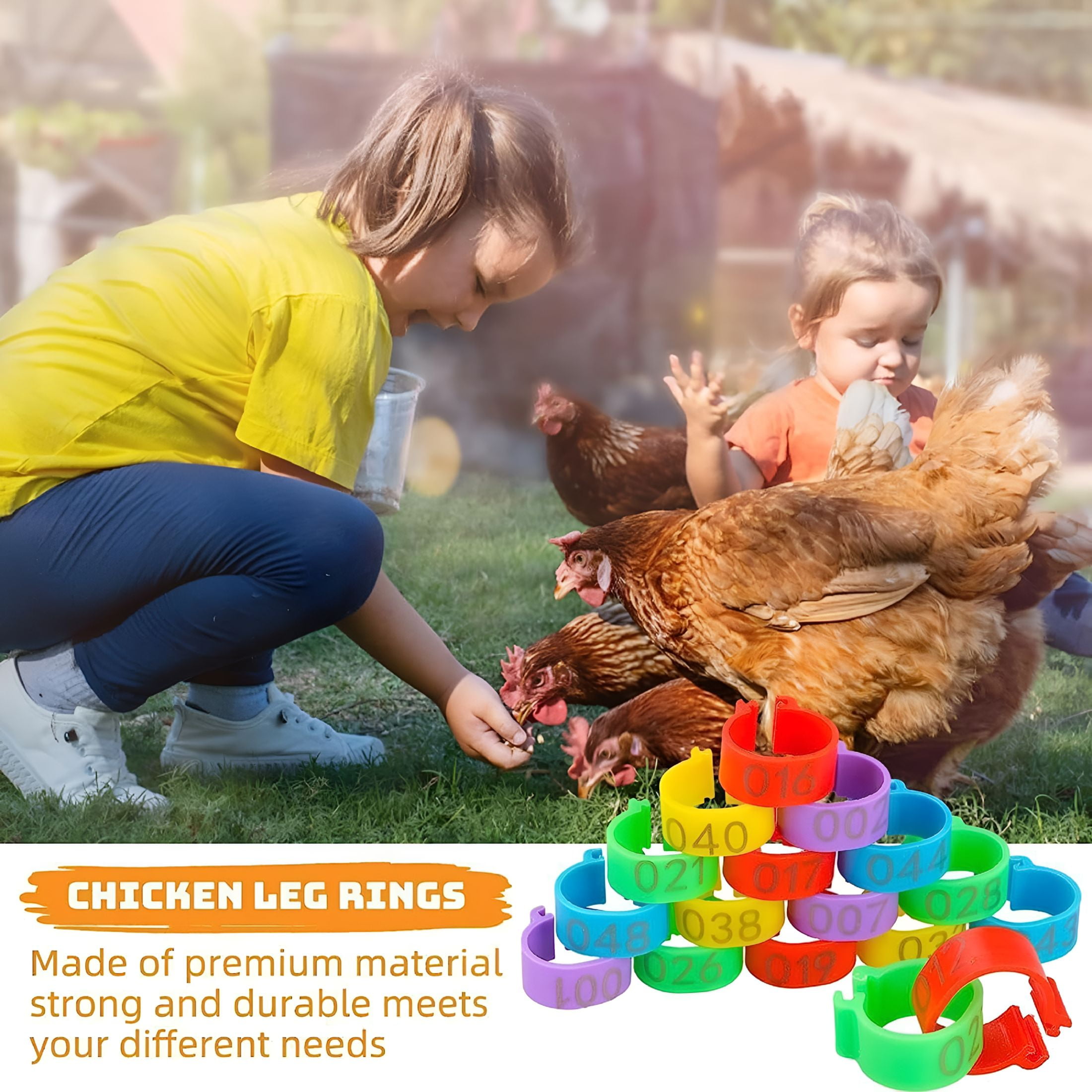ZULAR Chicken Identification Band - Clip-On Band Tags Numbered Leg ...