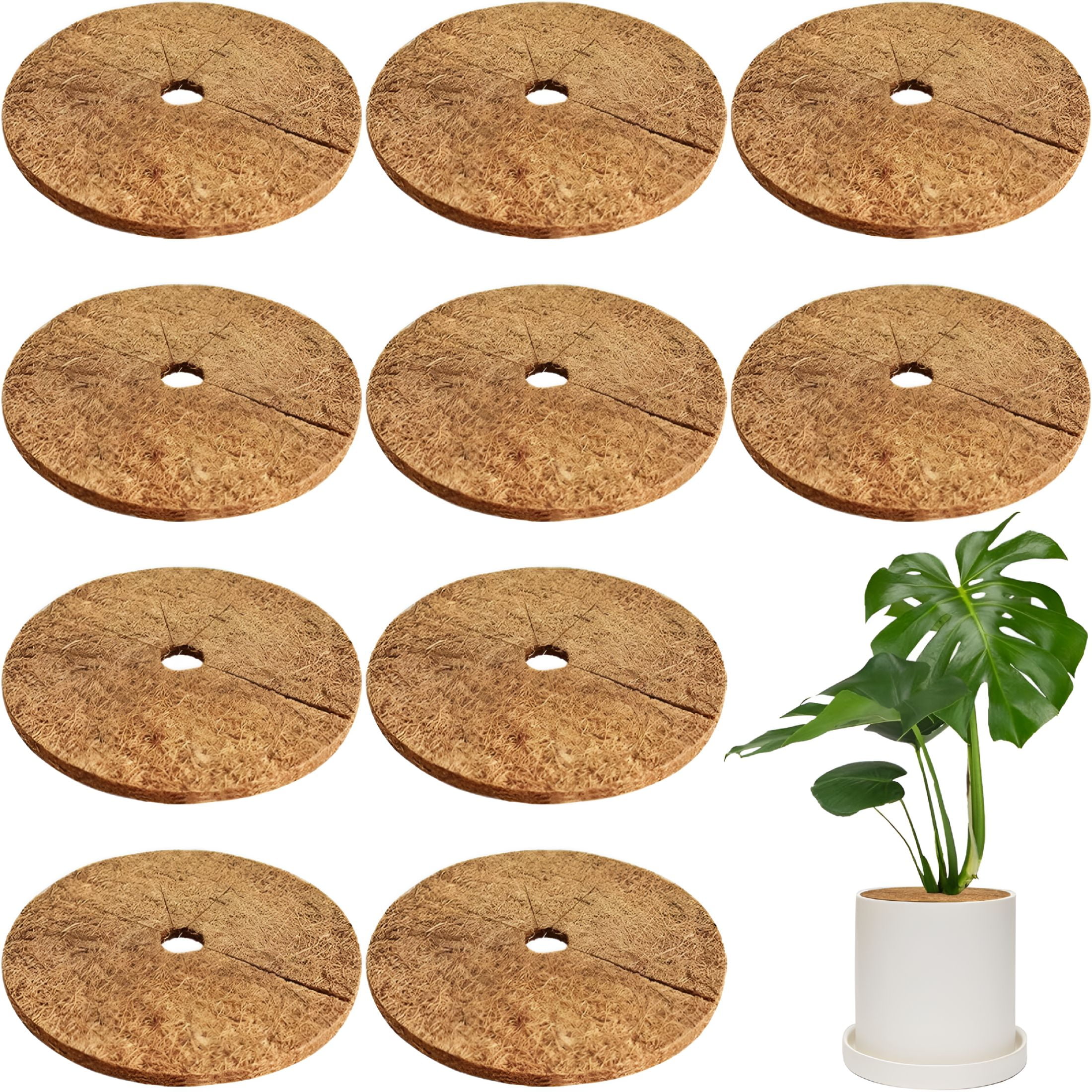 ZULAR Coconut Fibers Mulch Ring Tree Protector Mat,100% Natural Coco ...