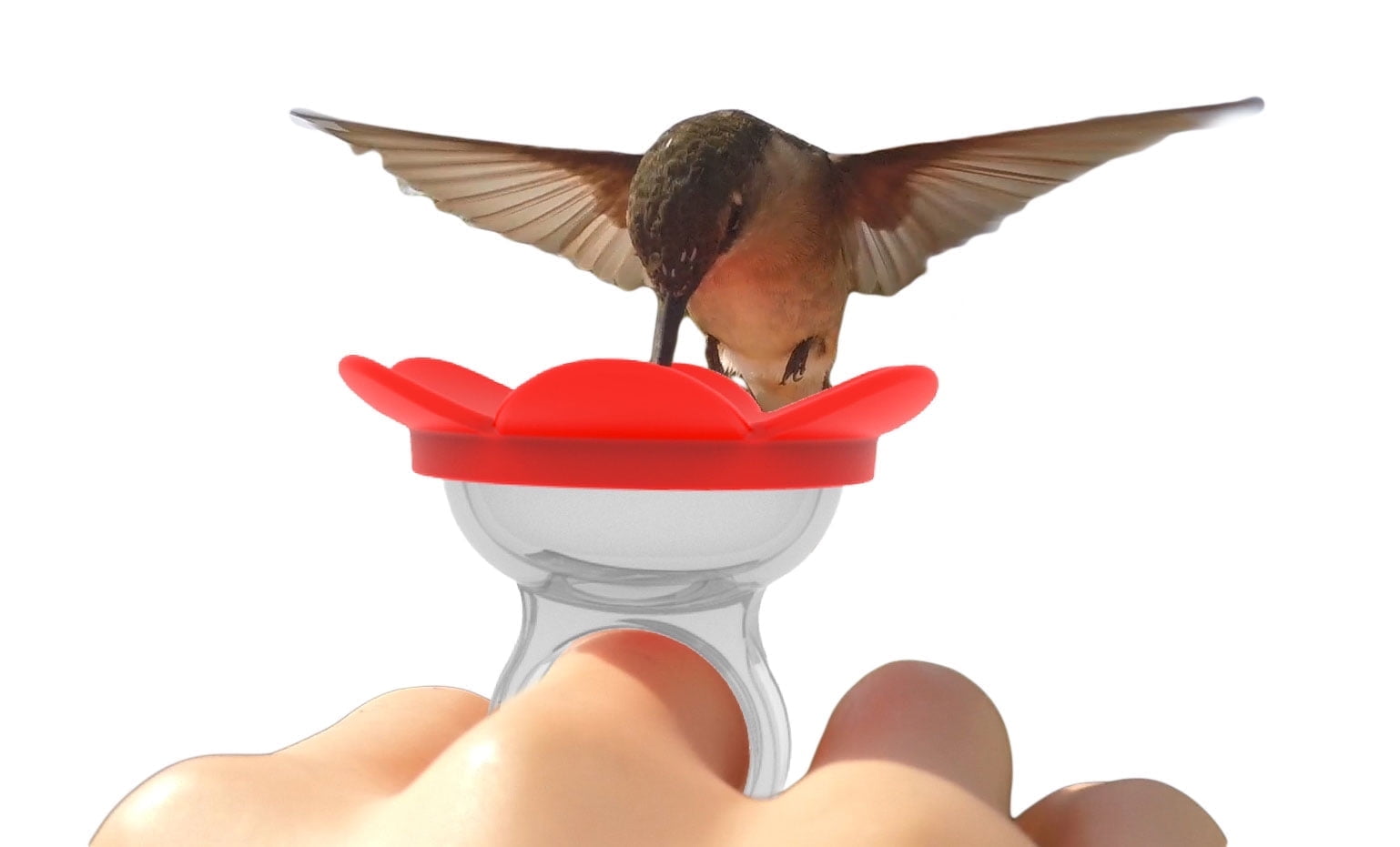 ZUMMR Easy Clean Outdoor Plastic Hummingbird Ring Feeder (Red ...