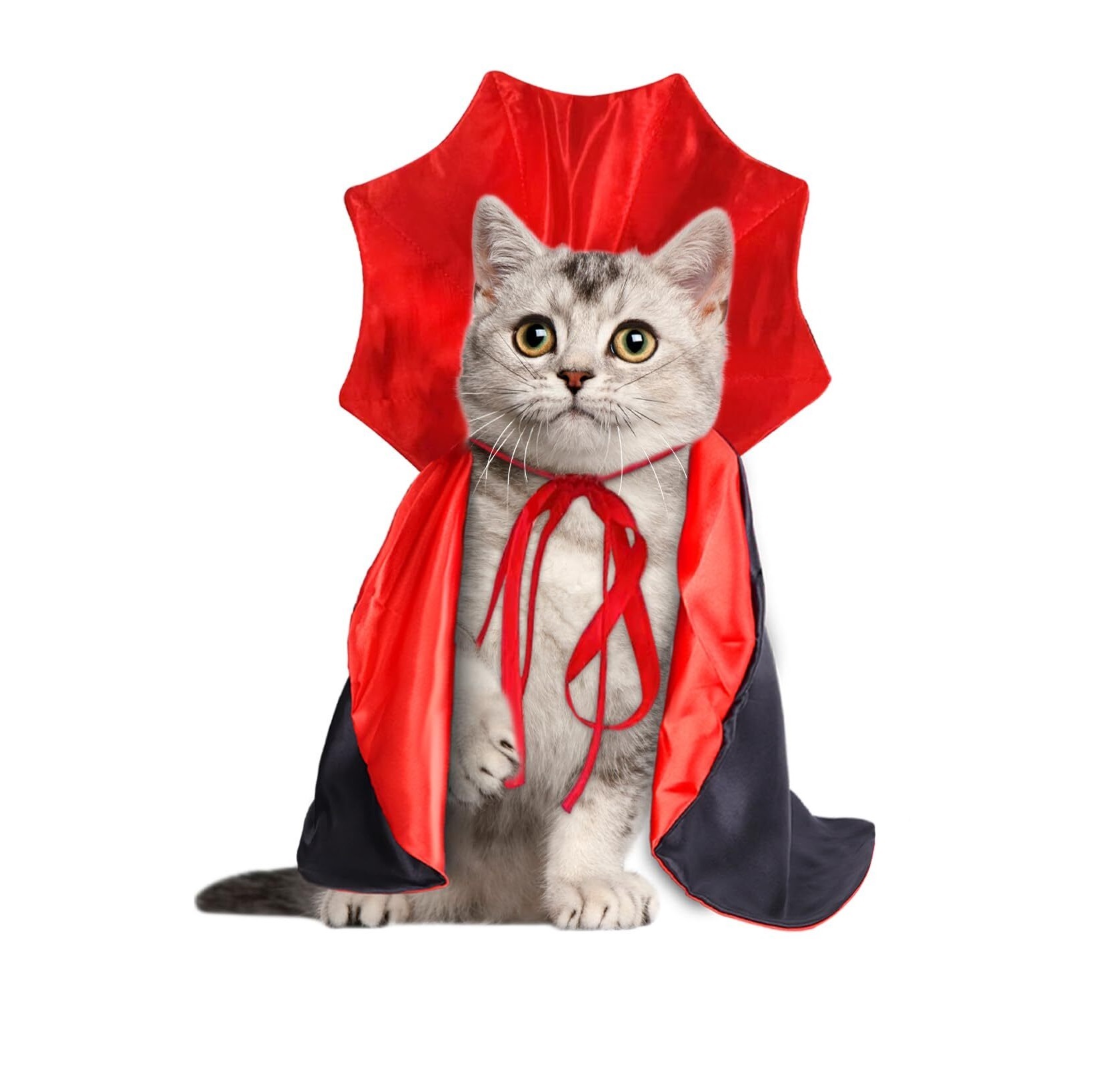 ZWQ Halloween Pet Cape Costume - Vampire Cloak, Wizard Outfit, Witch ...