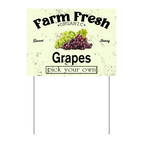ZXCXRQFa Grapes Yard Sign With Stake, Farm Fresh Organic Sweet Juicy ...
