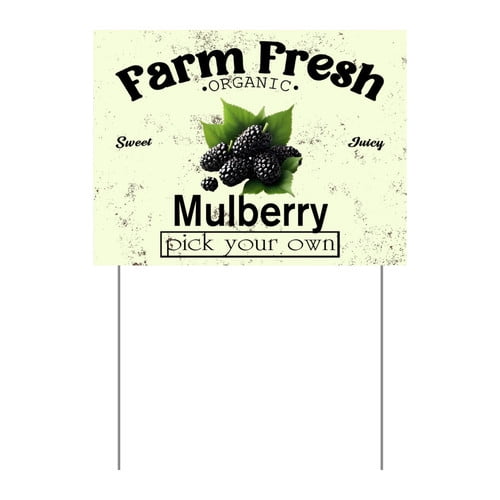 ZXCXRQFa Mulberry Yard Sign With Stake, Farm Fresh Organic Sweet Juicy ...