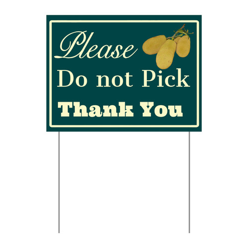 ZXCXRQFa Please Do Not Pick Jackfruit Yard Sign With Stake,Private ...
