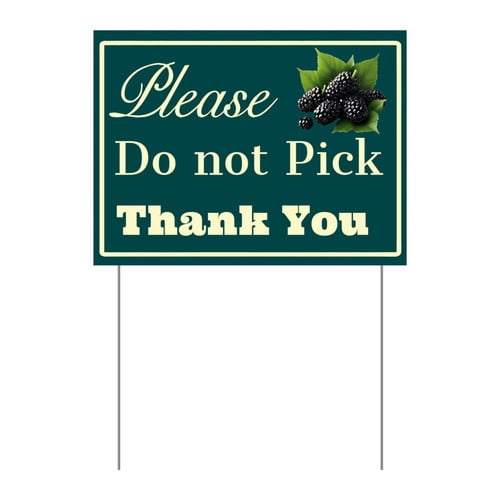 ZXCXRQFa Please Do Not Pick Mulberry Yard Sign With Stake,Private Property Fruit Sign for Lawn ...