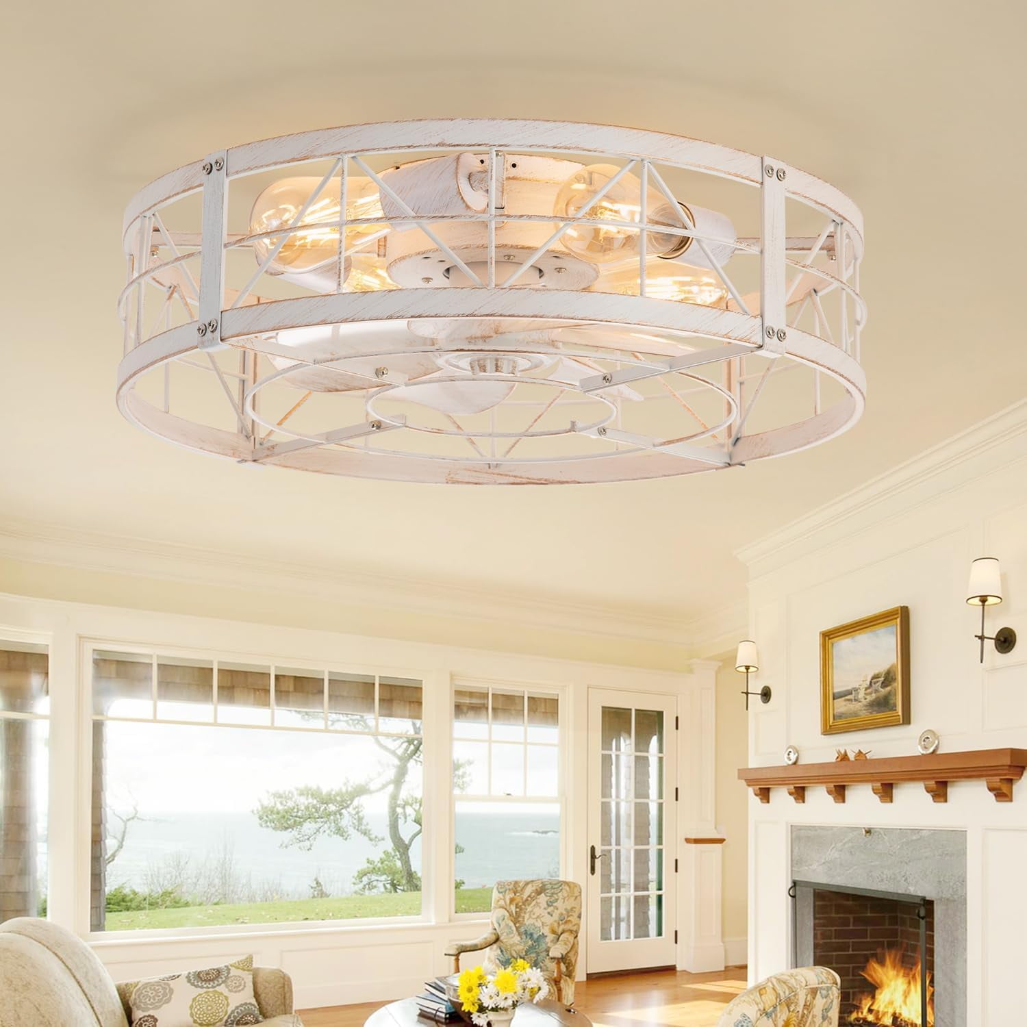 ZYD Caged Ceiling Fan with Light, 20" Ceiling Fan with Lights and ...