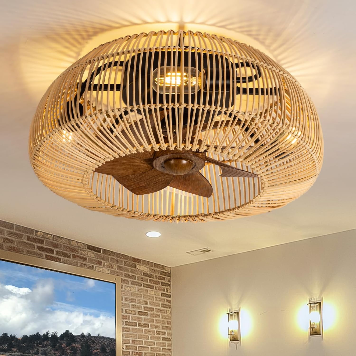 ZYD Caged Ceiling Fan with Lights, 20" Boho Rattan Ceiling Fans with ...