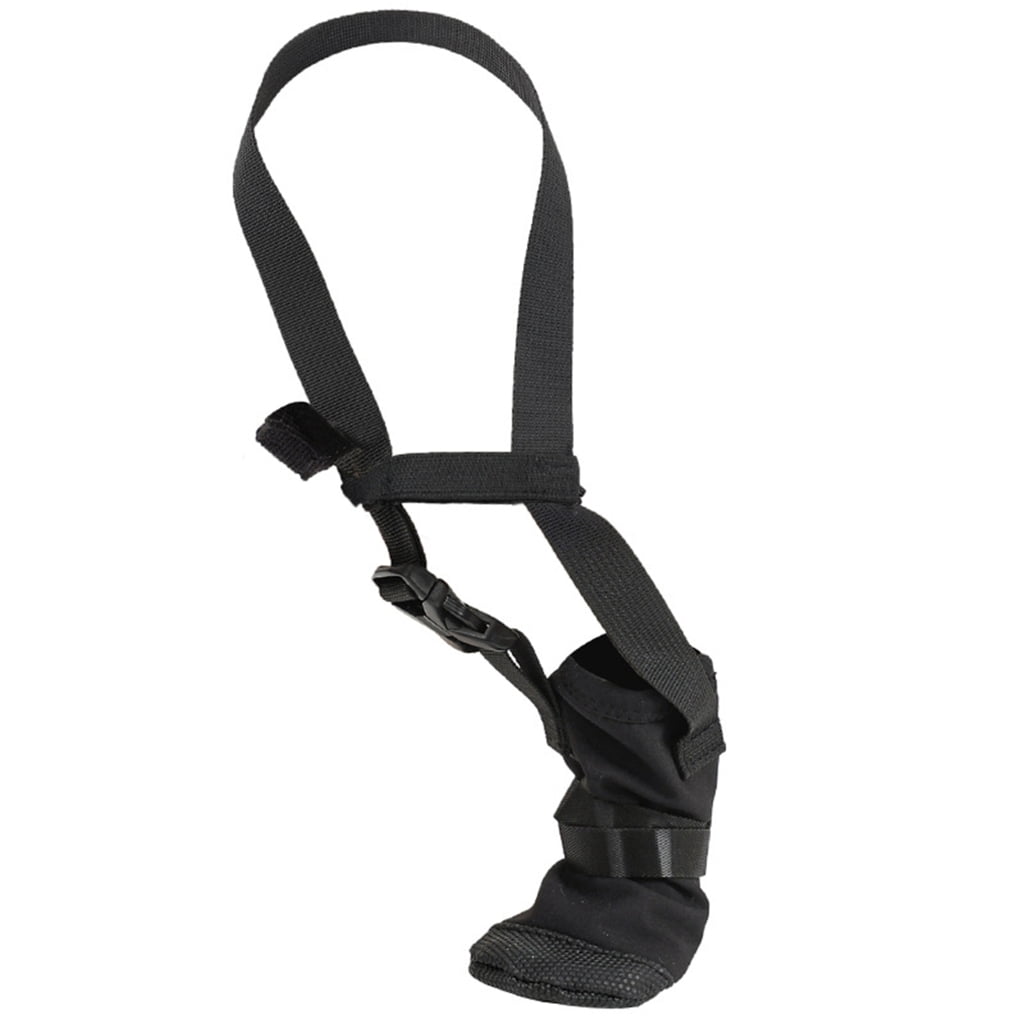 ZYHARUKO Front Paws Healing Boot for Various Breeds Water Resistant ...