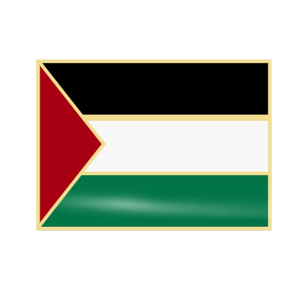 ZYHARUKO National PLE Flag Lapel Pin Country Flag Brooch Badge Alloy ...