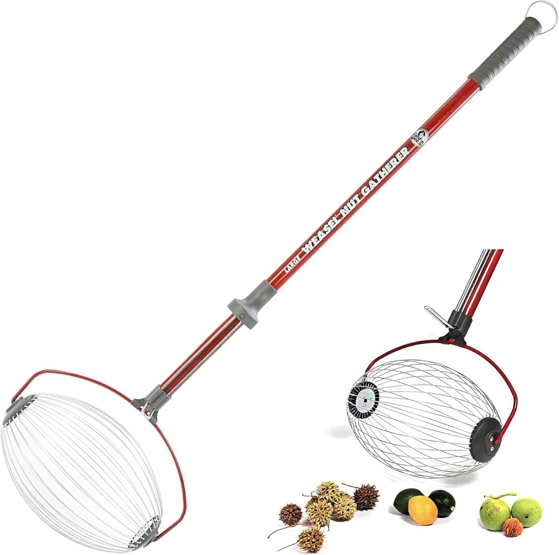 ZYSP Nut Gatherer - Large Cage Pick Up Walnuts, Small Apples, Citrus ...