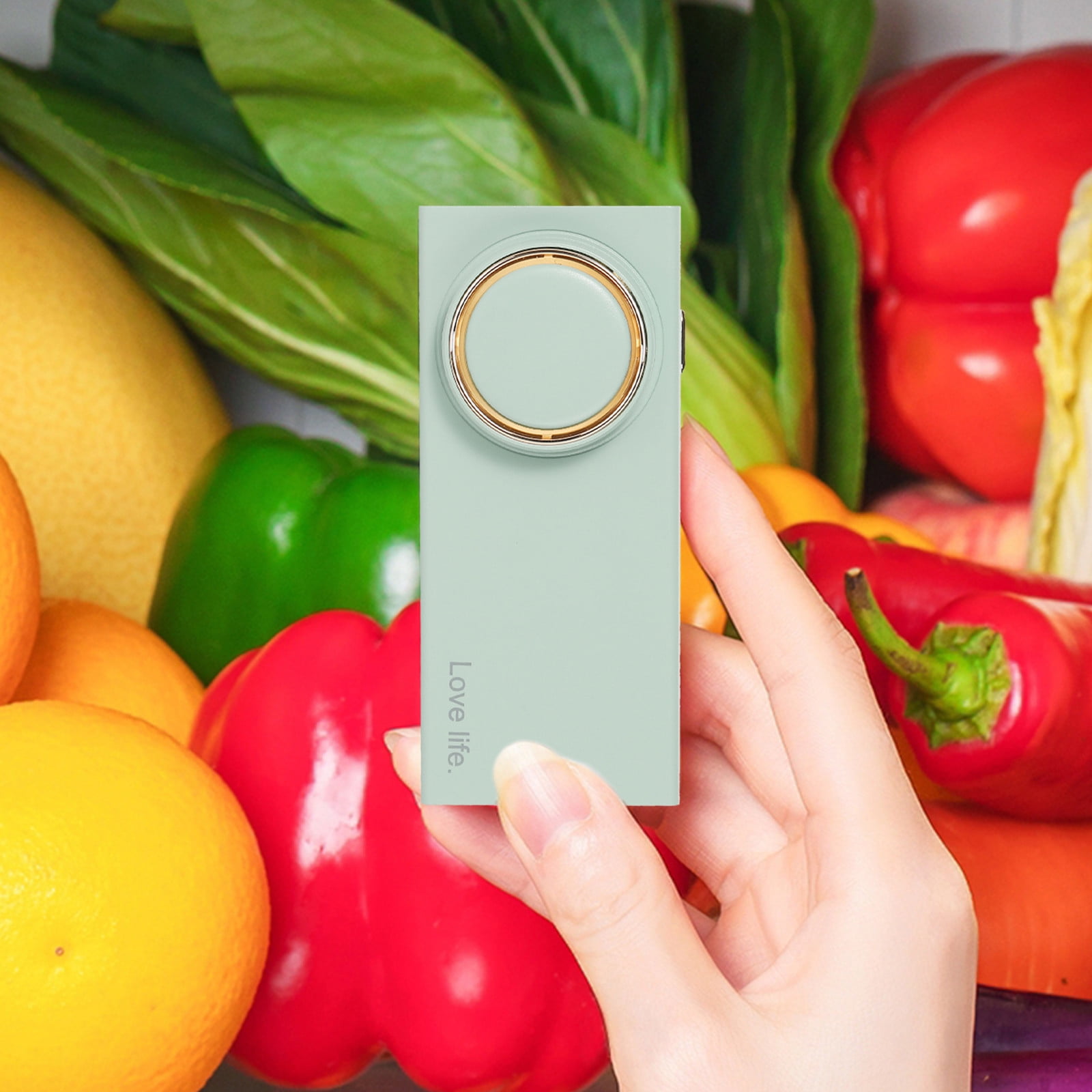 Oefntac Fridge Deodorizer Fridge Odor Eliminator Refrigerator ...