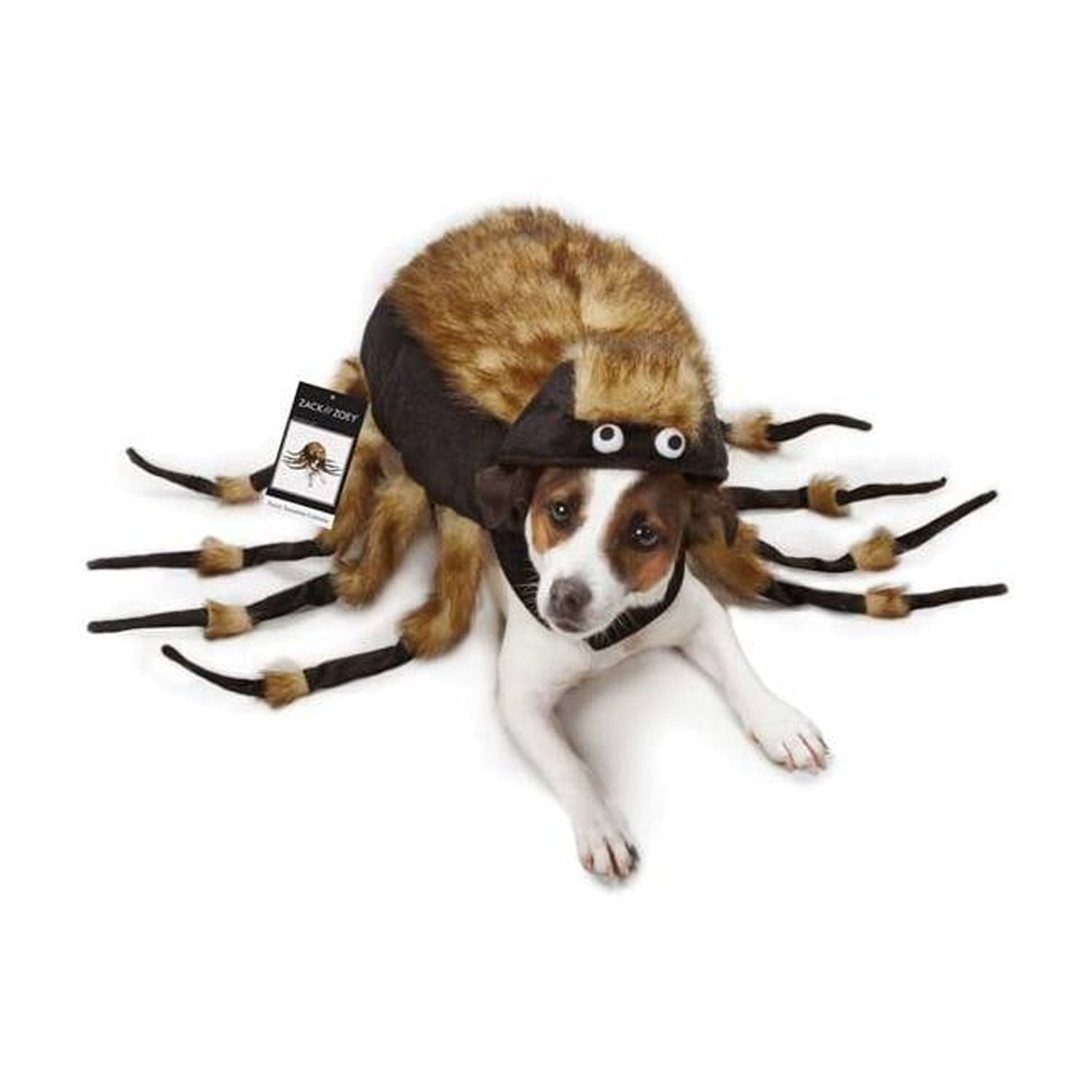 Zack & Zoey ZZ Fuzzy Tarantula Costume M - Walmart.com