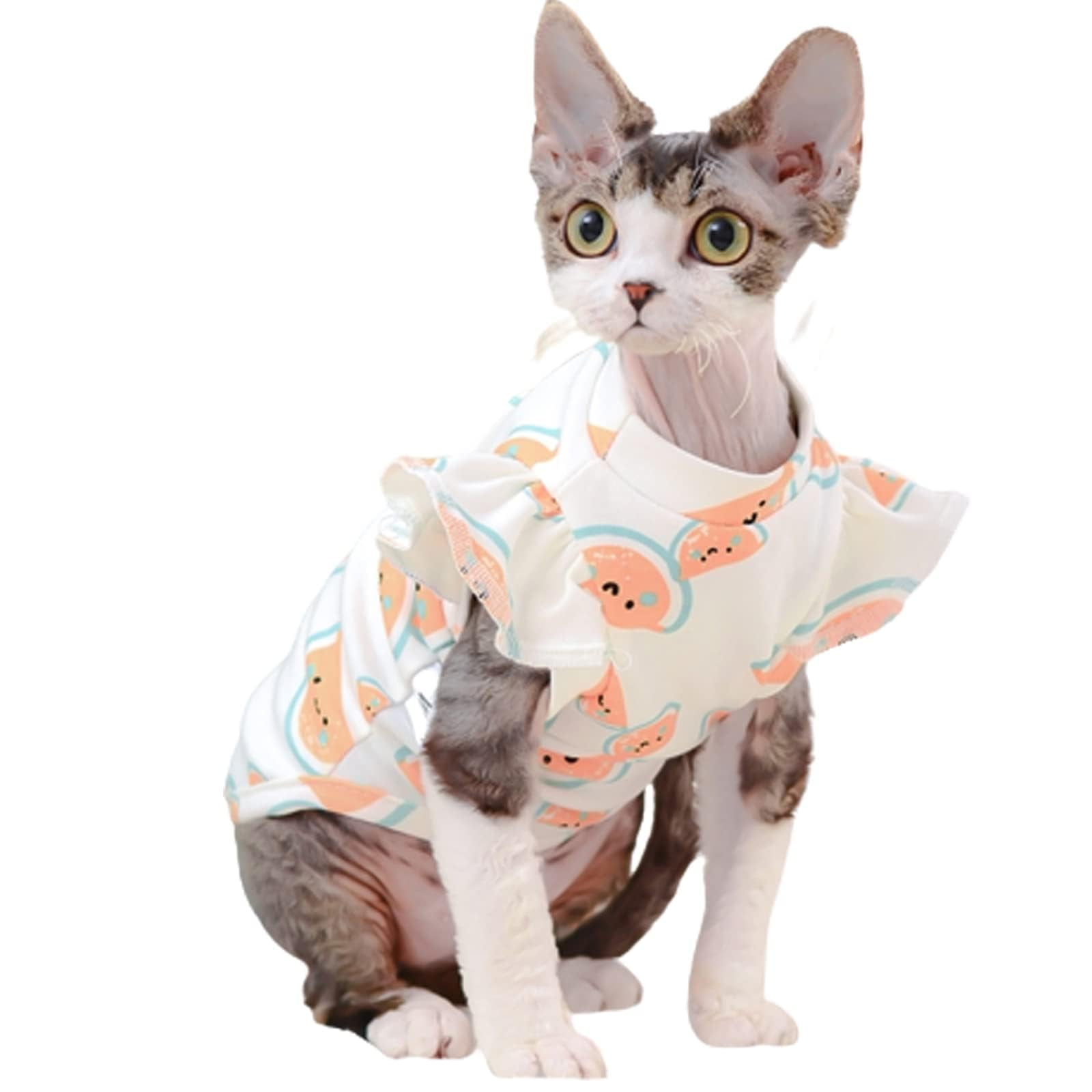 ZZ Sphynx Cat Clothes for Cats Only, Cute Watermelon Pattern Cat ...