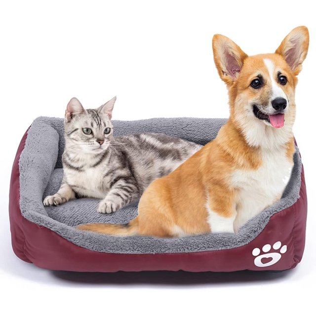 ZZBBC Cat Bed for Indoor Cats - Kitten Bed - Machine Washable - Ultra ...