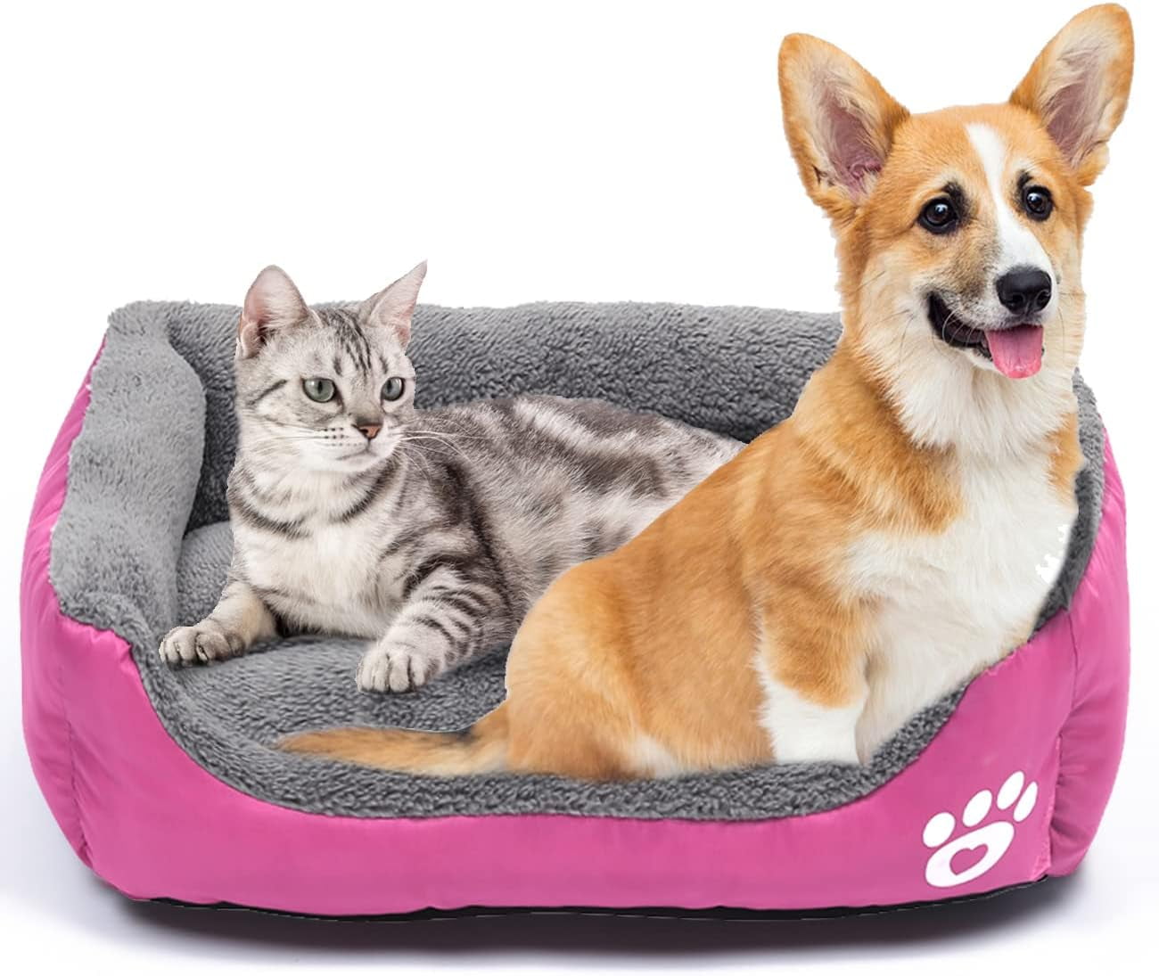 ZZBBC Cat Bed for Indoor Cats - Kitten Bed - Machine Washable - Ultra ...