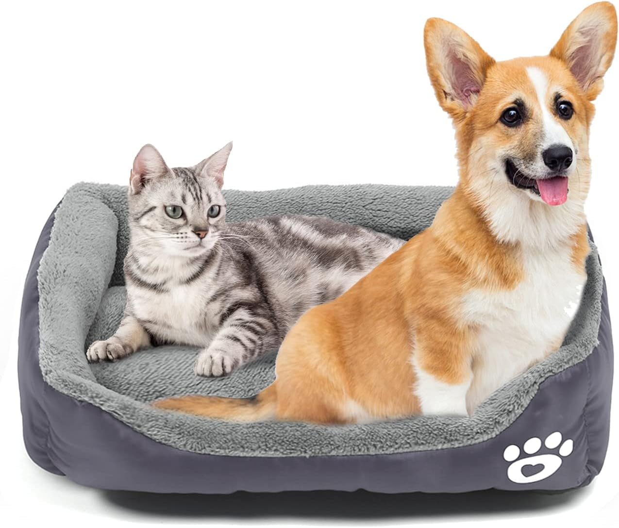 ZZBBC Cat Bed for Indoor Cats - Kitten Bed - Machine Washable - Ultra ...