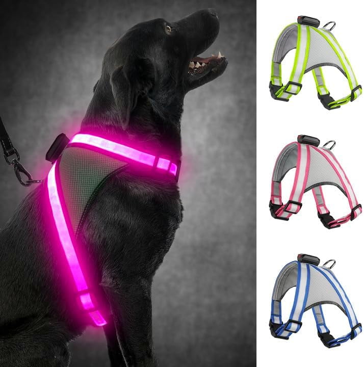 ZZCCC LED Dog Harness, USB Rechargeable ZZCCC Dog Harness Vest, 2 ...