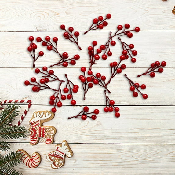 ZZERHUOO Hydrangea Flowers Three Different Types Of Red Berry Family ...