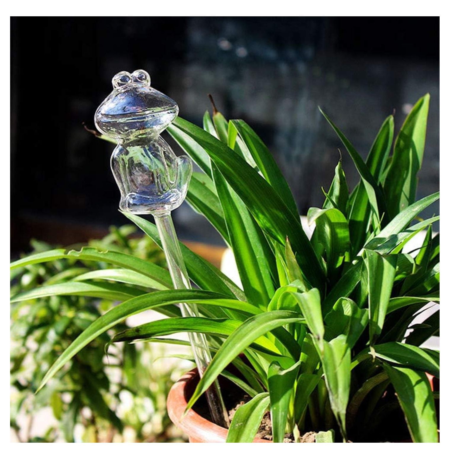 ZZYY Plant Watering Globes Glass Self-Watering Stakes Frog Shaped Water ...