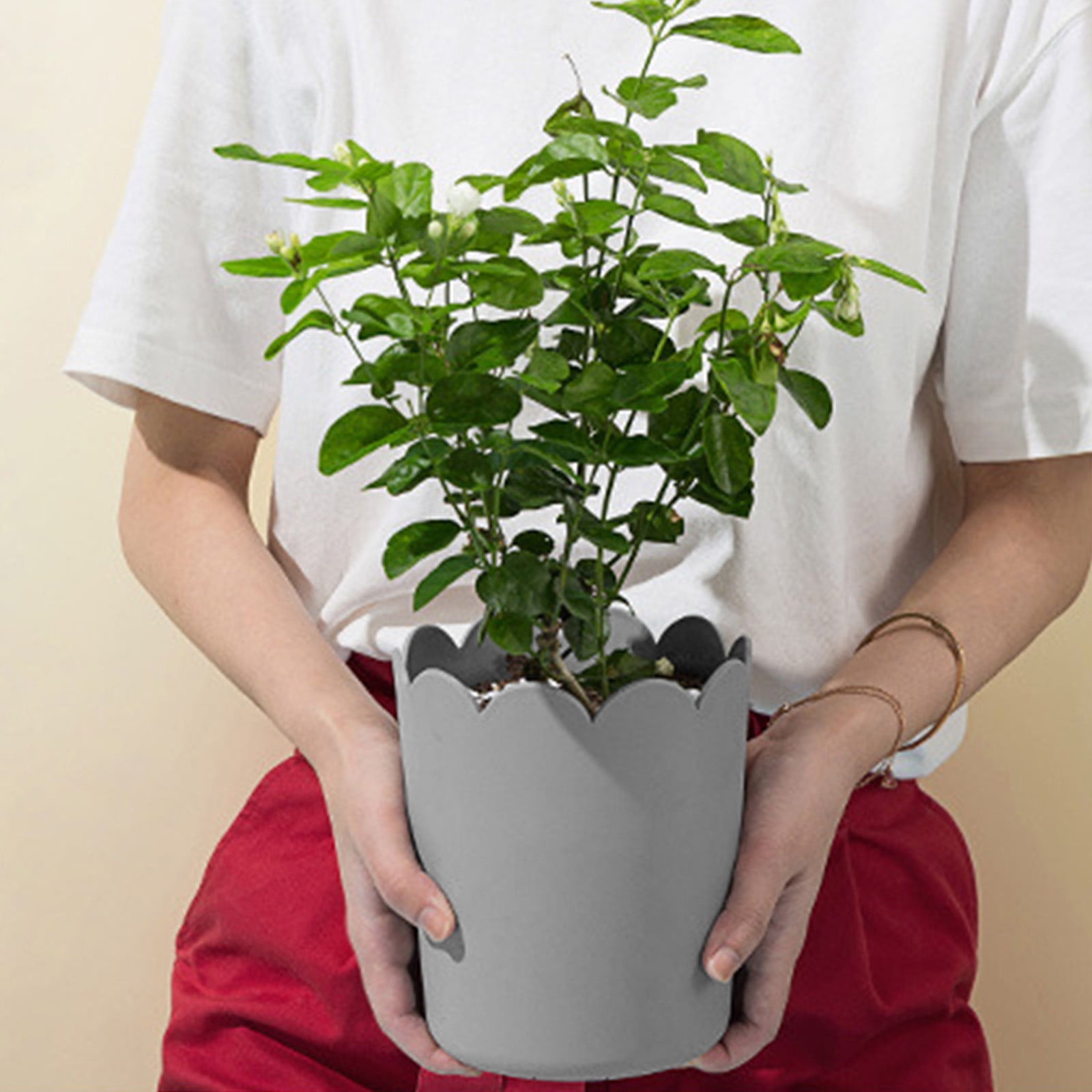 ZZkhGo Reduced Price Plant Pot With Bottom Bracket,Plant Indoor ...