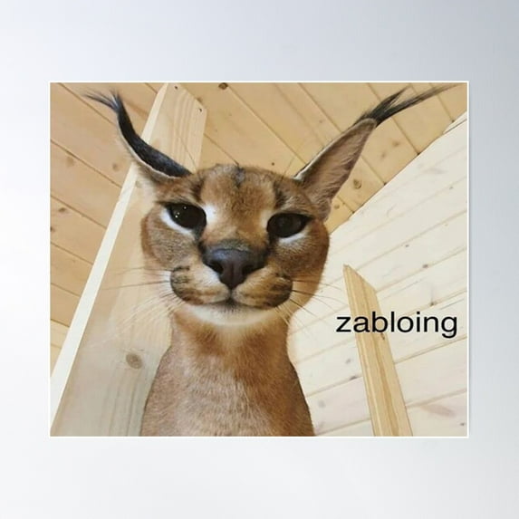 Zabloing Meme Poster Wall Art, Modern Wall Decor For Living Room ...