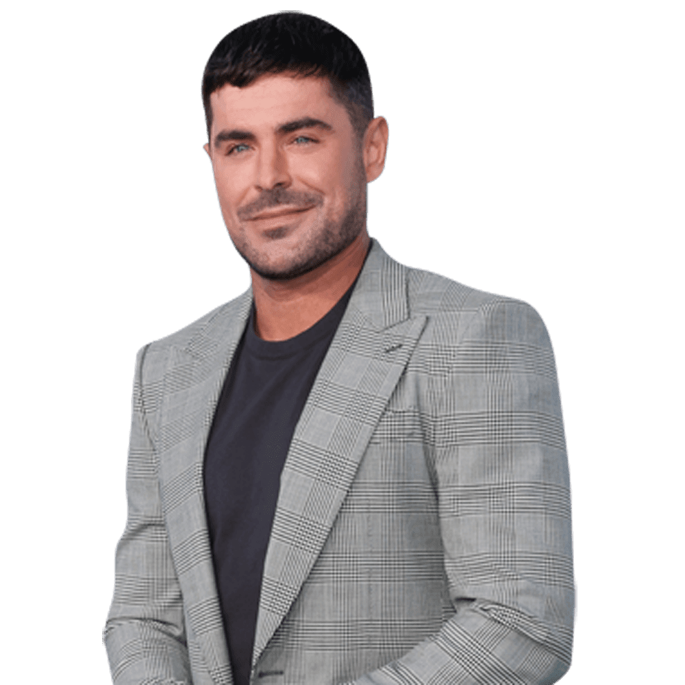 Zac Efron (Grey Suit) Half Body Buddy Cutout - Walmart.com