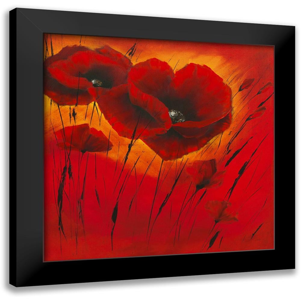 Zacher-Finet, Isabelle 20x20 Black Modern Framed Museum Art Print ...