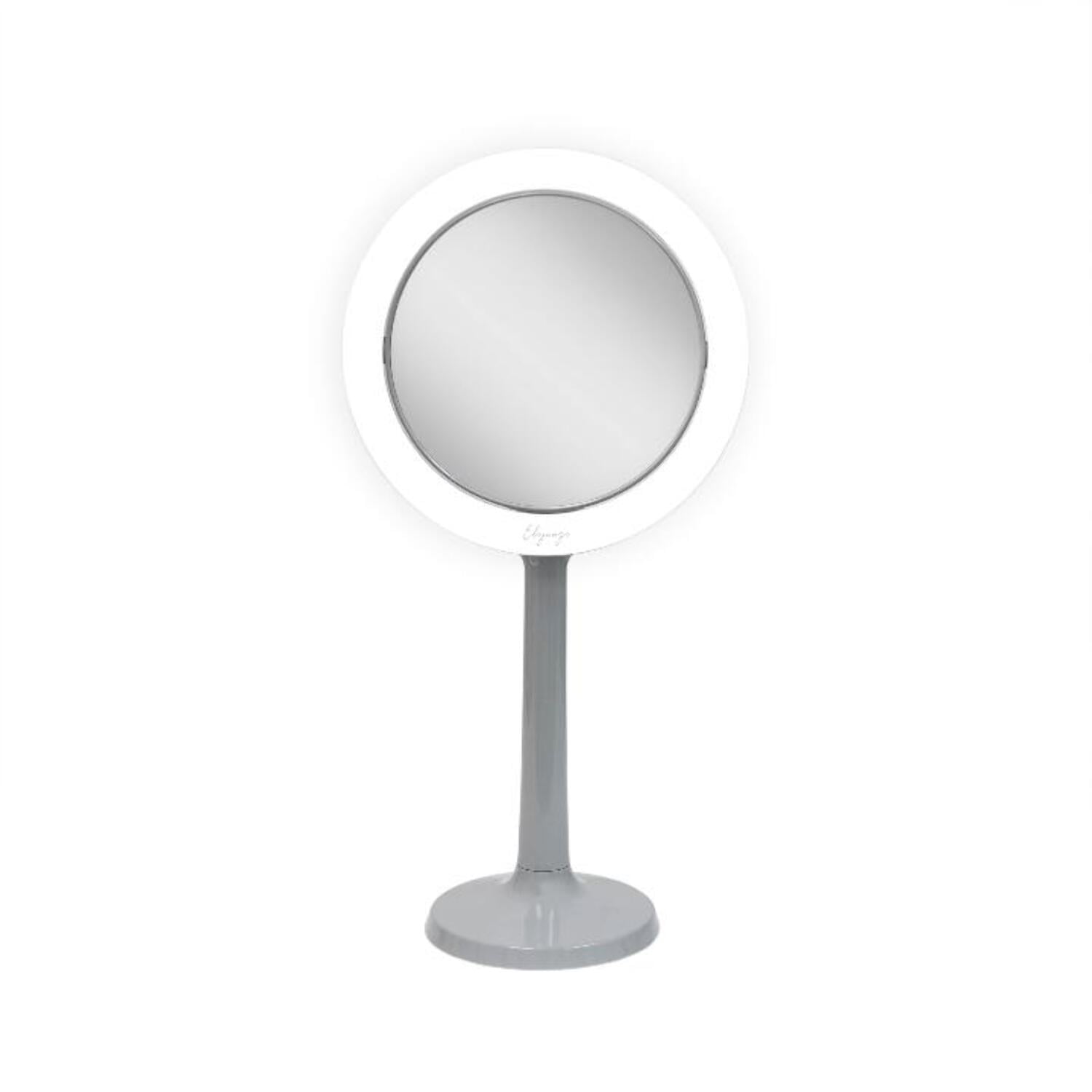 Zadro Hudson LED Lighted Makeup Mirrors w/ Magnification & Suction Cup ...