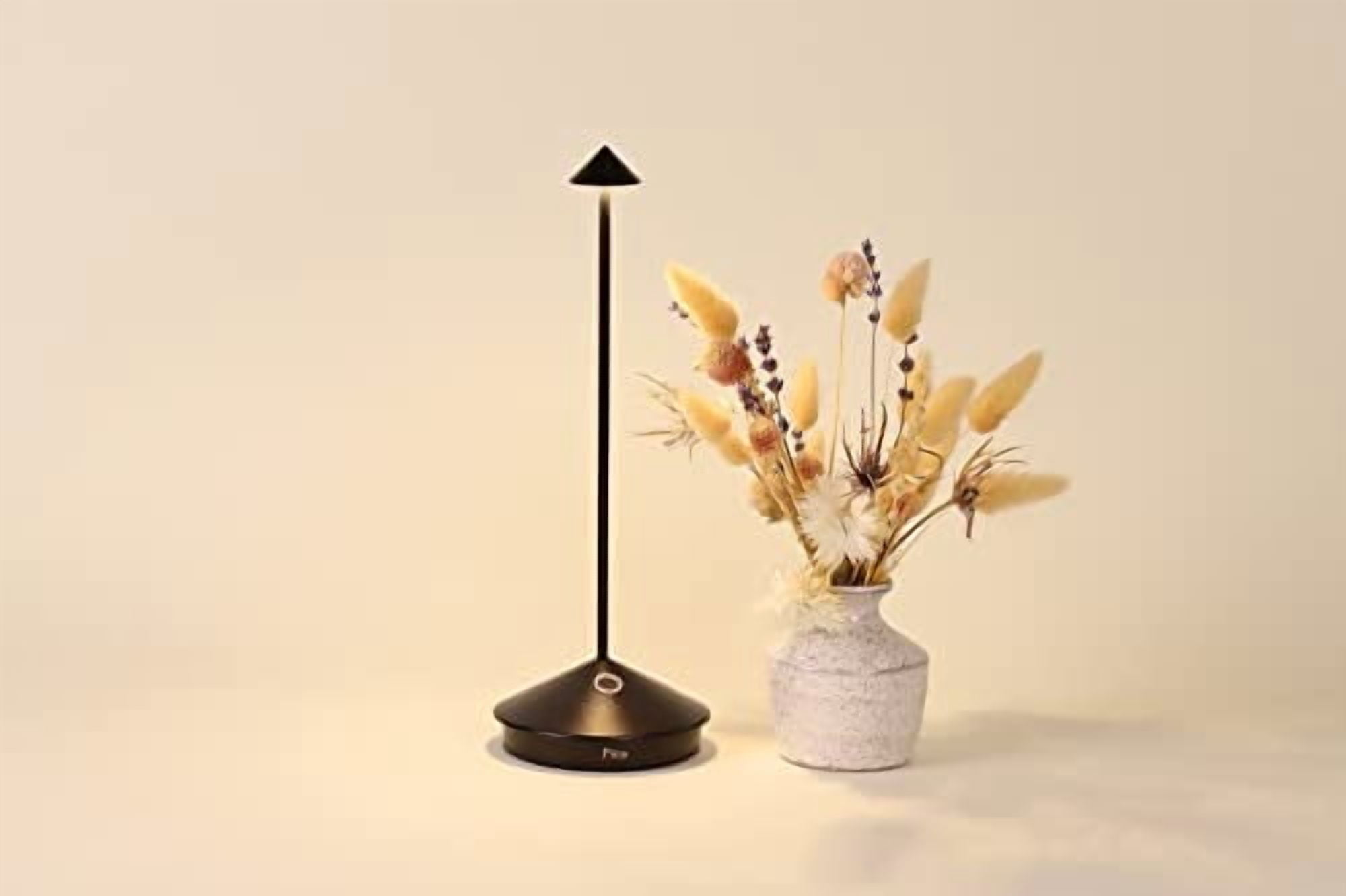 Zafferano Pina Pro Cordless LED Table Lamp (Black) Powder-Coated ...