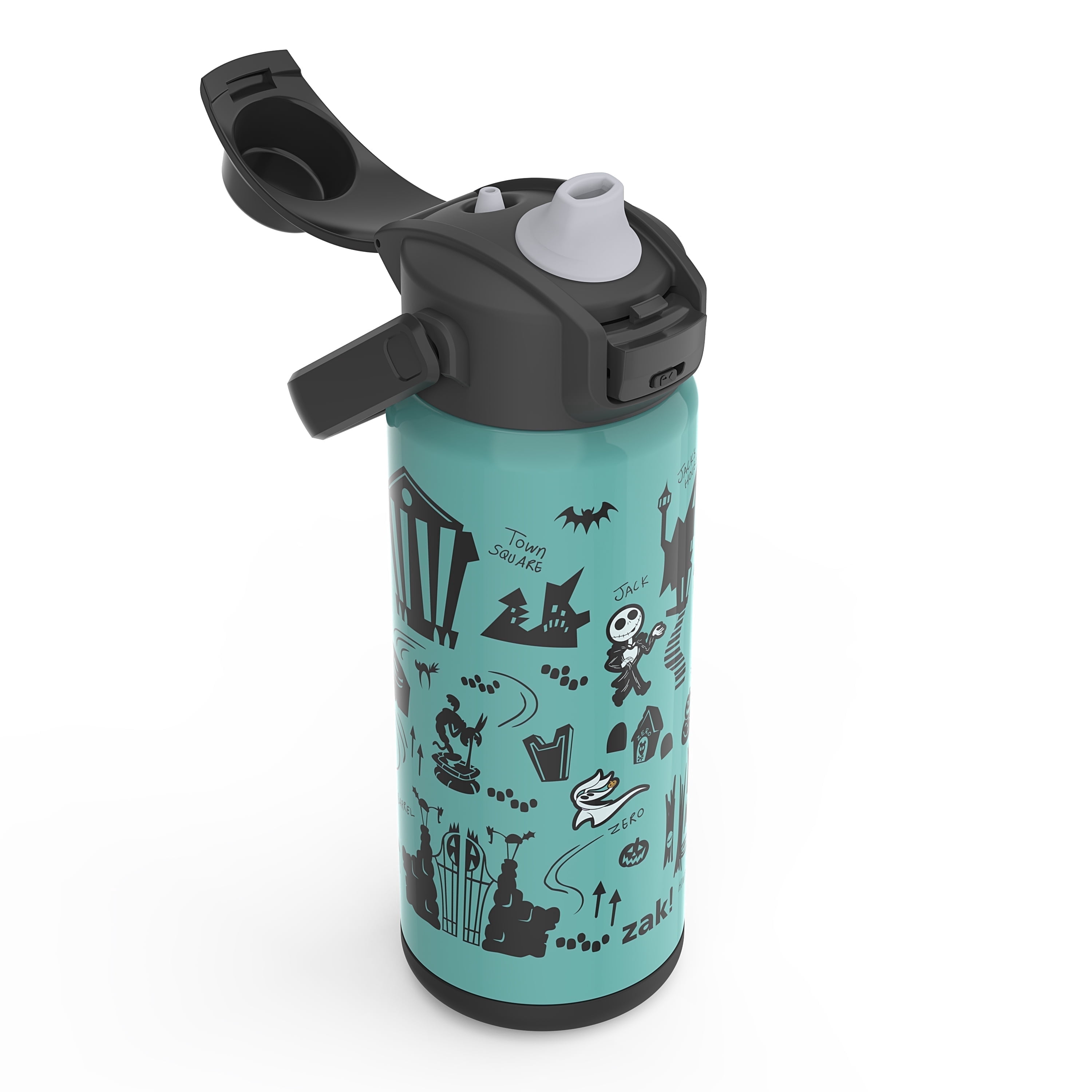 Zak Designs 20oz Insulated Water Bottle, Leak-Proof, BPA Free, Carry ...