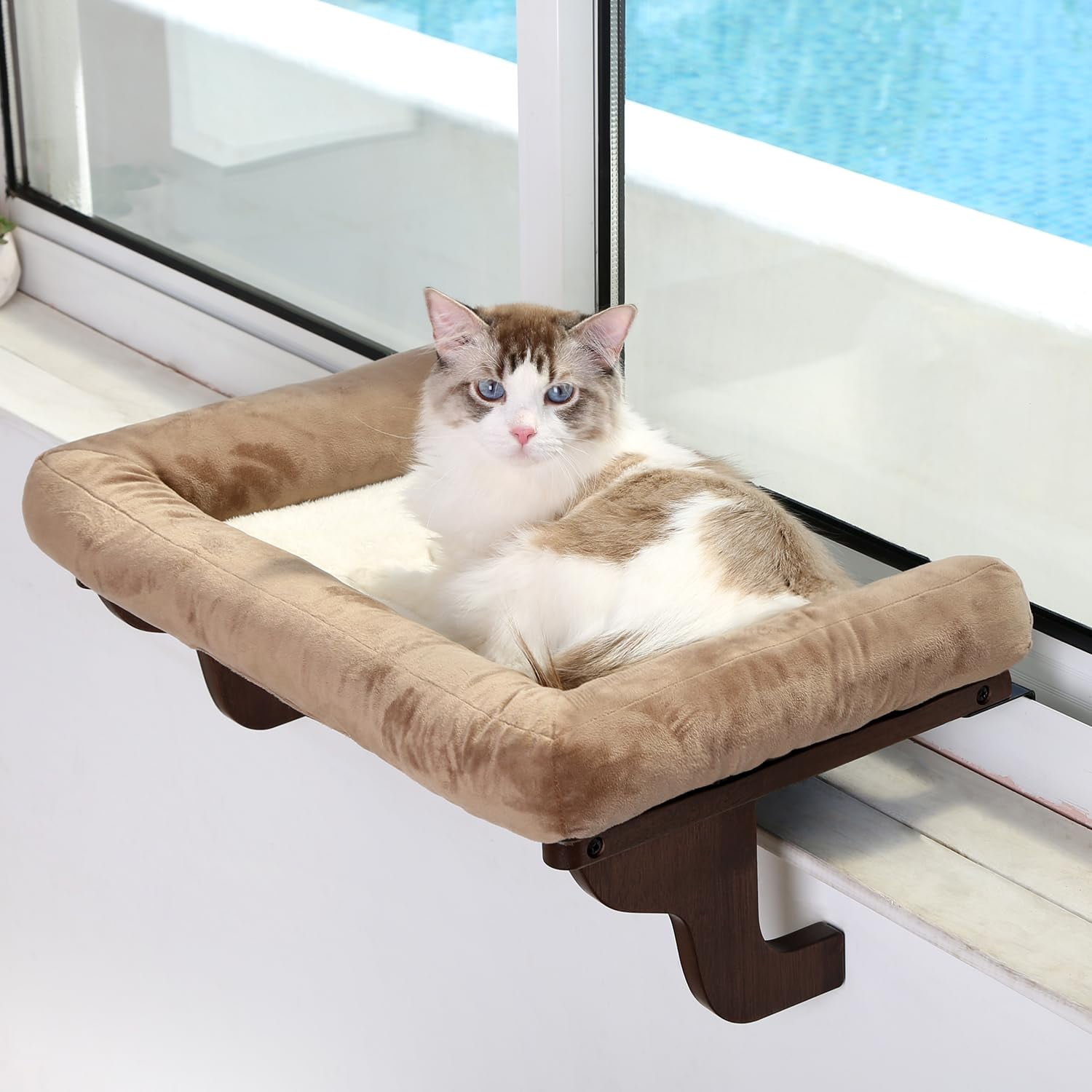 Zakkart Cat Perch for Window Sill with Bolster - Hammock Design with ...