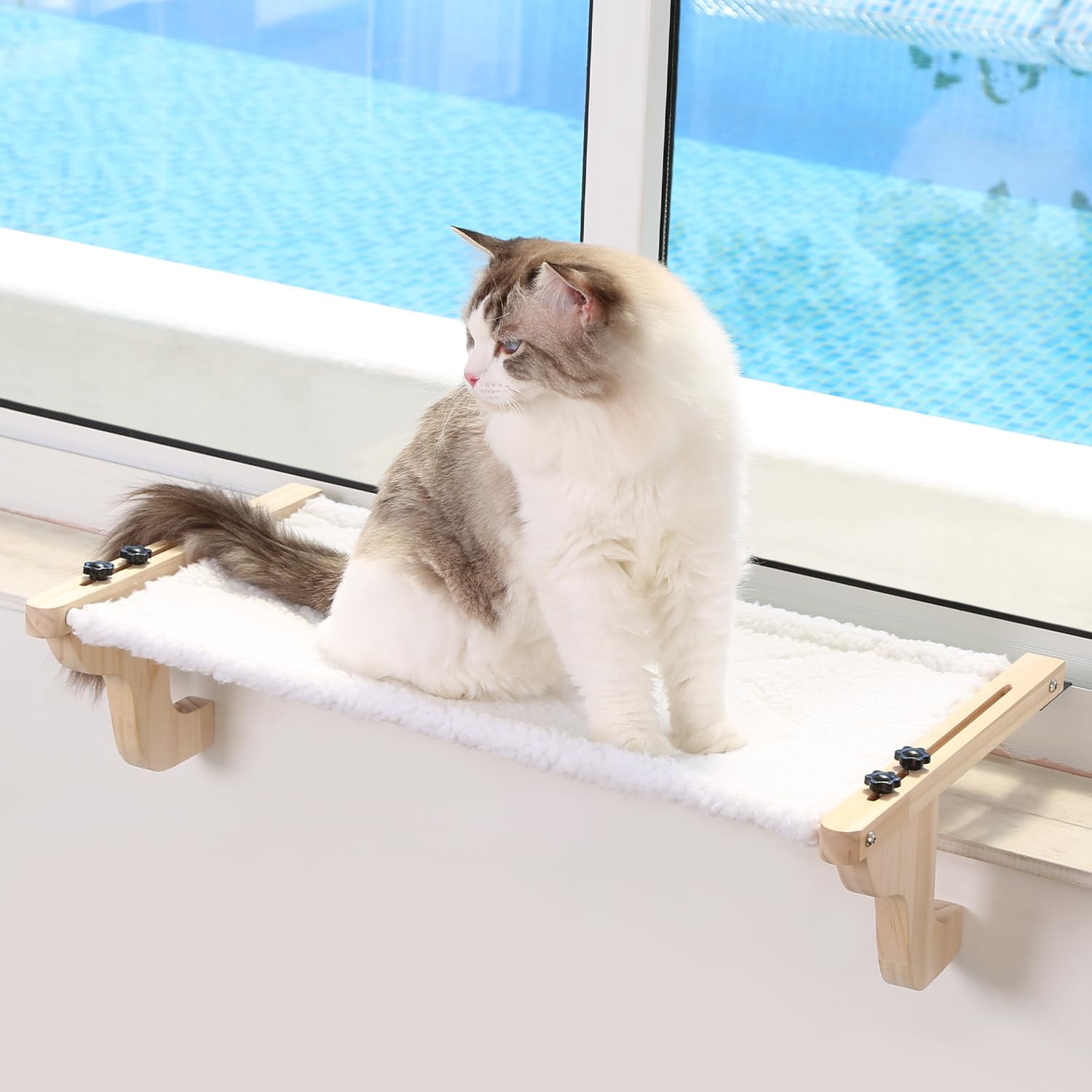 Zakkart Easy Seat Cat Perch for Window Sill - Hammock Design w/Pine ...