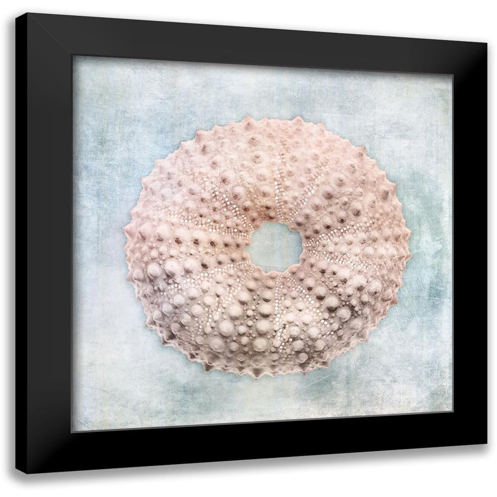 Zalewski, Christine 20x20 Black Modern Framed Museum Art Print Titled ...