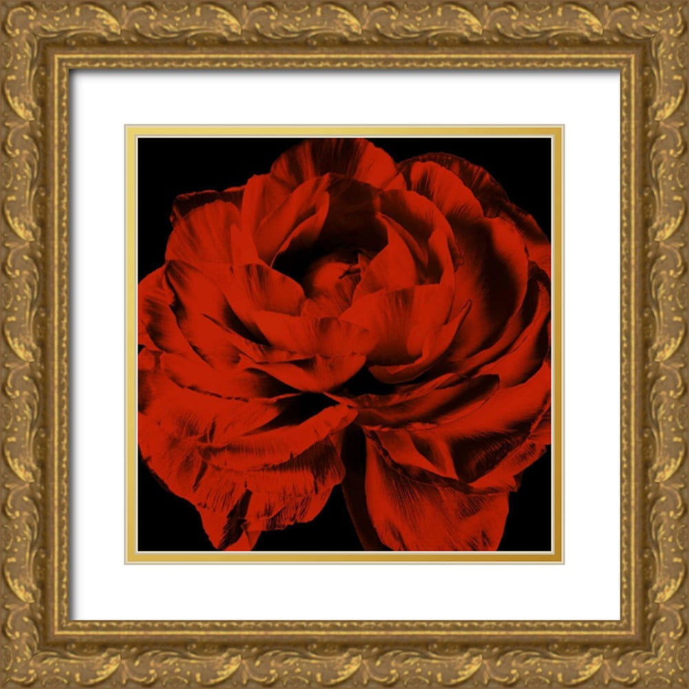 Zalewski, Christine 20x20 Gold Ornate Wood Framed with Double Matting ...