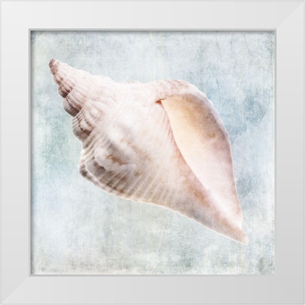 Zalewski, Christine 20x20 White Modern Wood Framed Museum Art Print ...