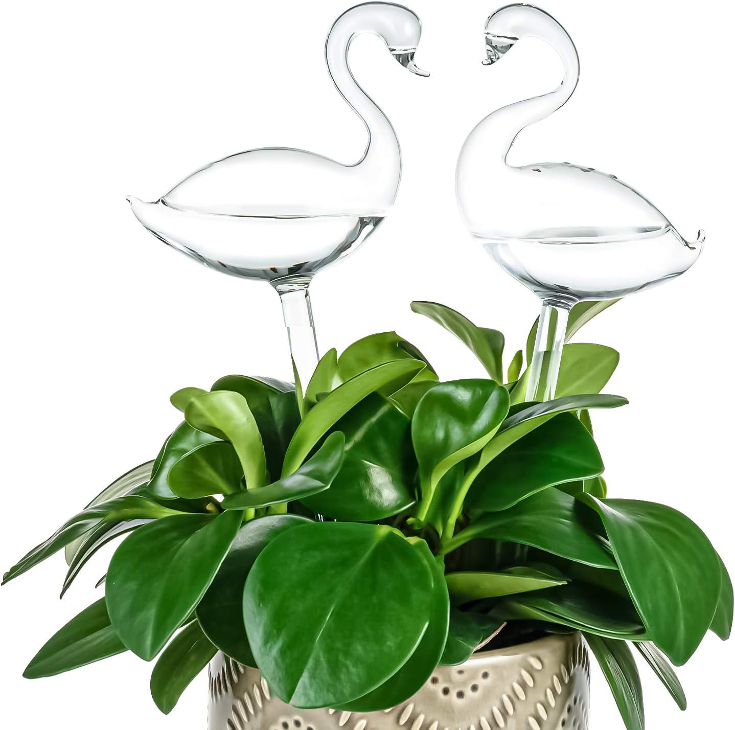 Zallac Self Watering Globes Plant Waterer Device Mushroom Shape Hand ...