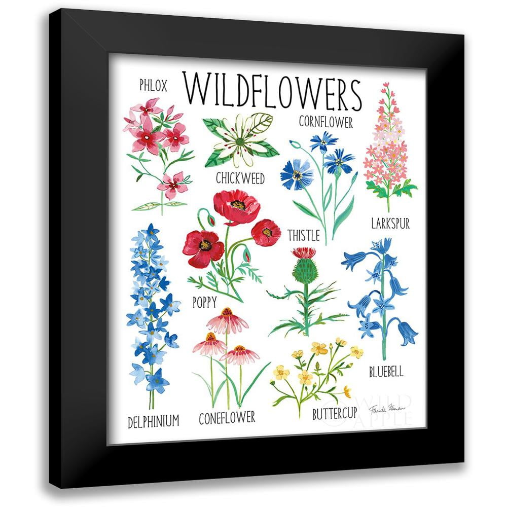 Zaman, Farida 20x24 Black Modern Framed Museum Art Print Titled ...